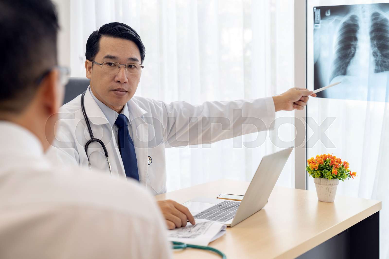 doctor explain x-ray result to patient | Stock image | Colourbox