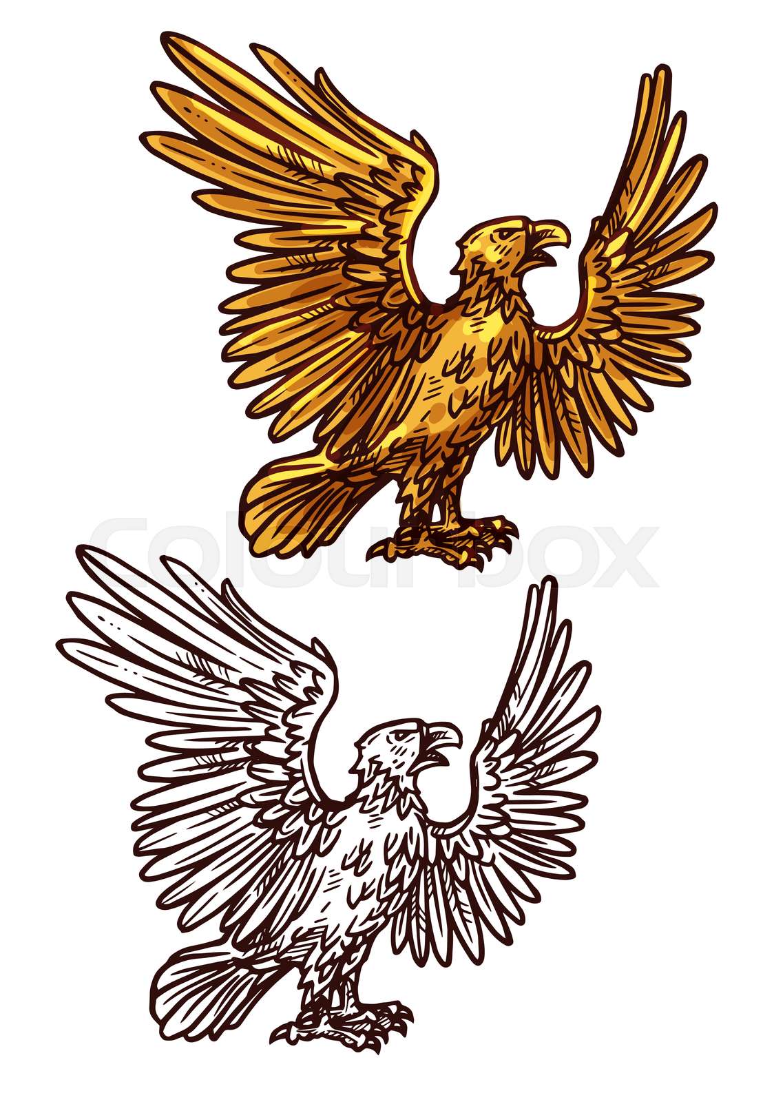 Hawk or eagle, heraldic golden bird, vector | Stock vector | Colourbox