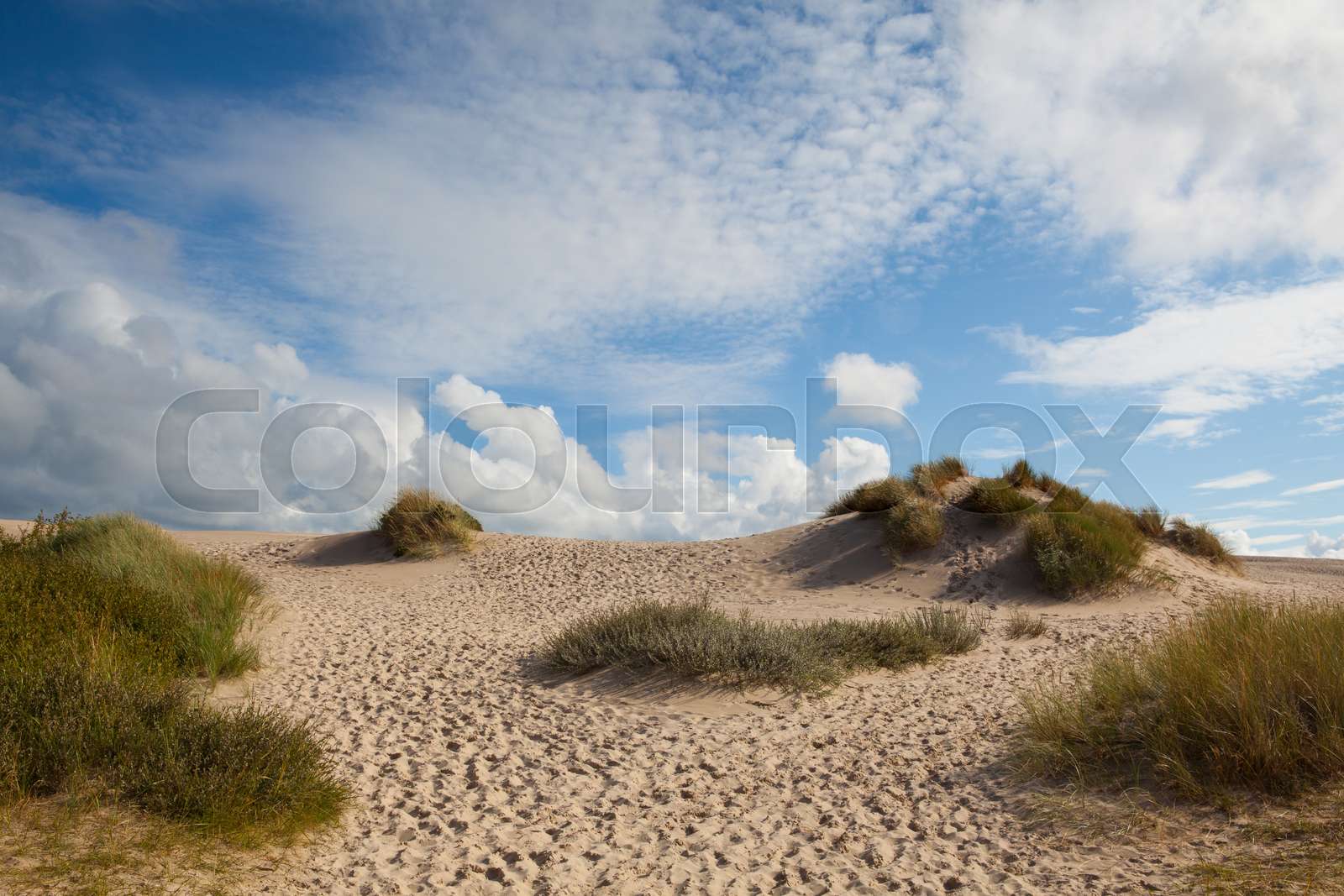 Rabjerg Mile is a migrating coastal dune, Denmark. | Stock image ...