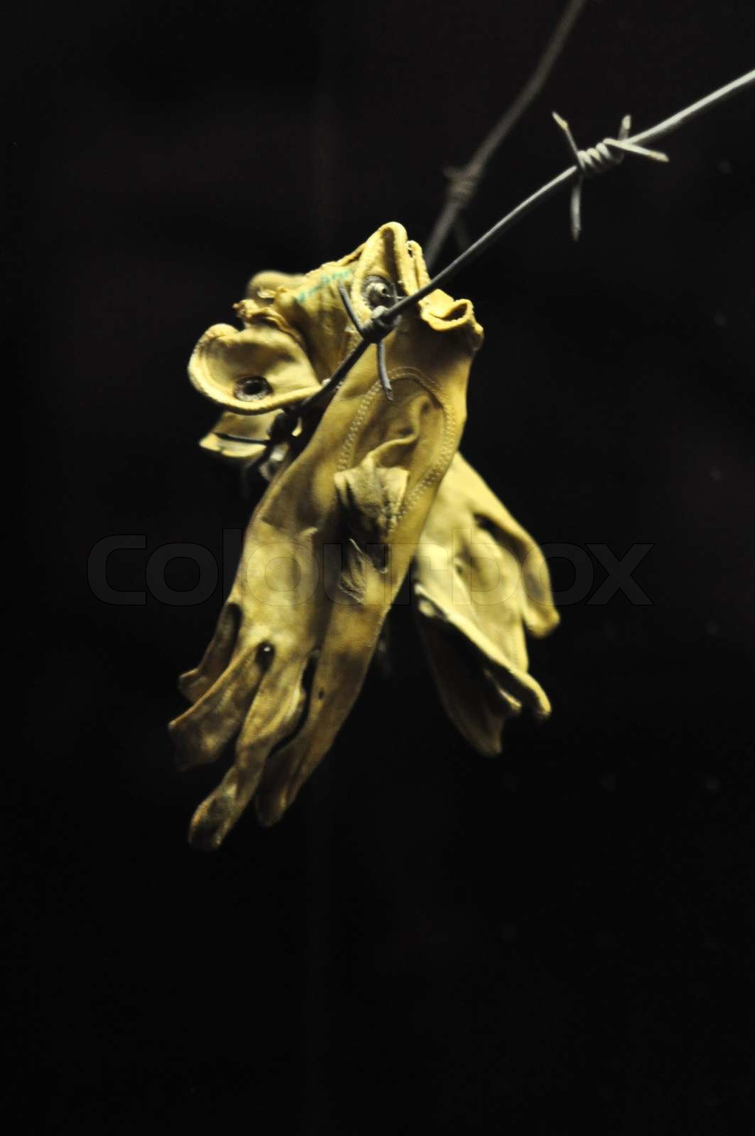 Handsker lavet af en menneskelig hud være nazi under 2.World War ...