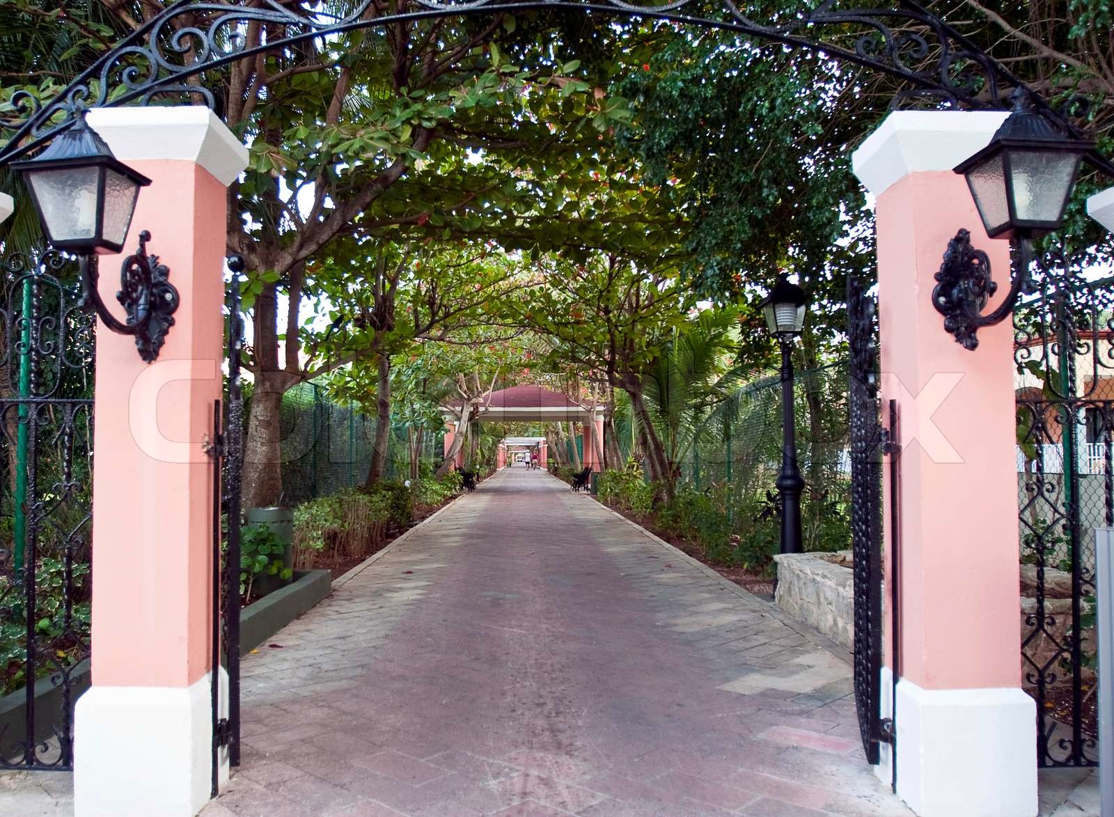 Driveway to the resort | Stock image | Colourbox