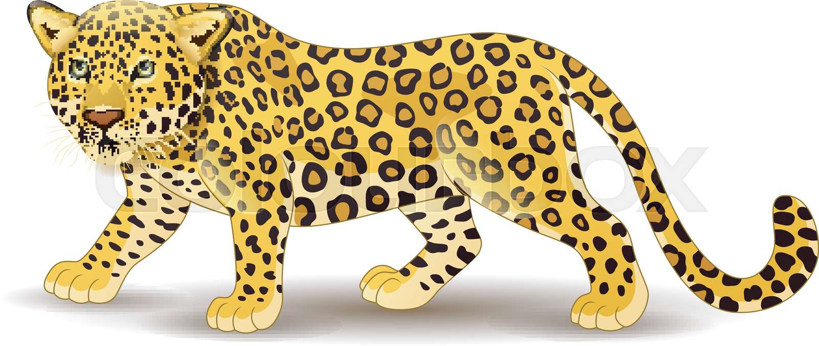 Cartoon leopard isolated on white background | Stock vector | Colourbox