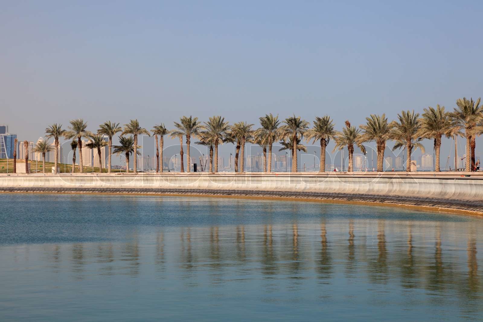 Palm trees promenade in Doha, Qatar | Stock image | Colourbox