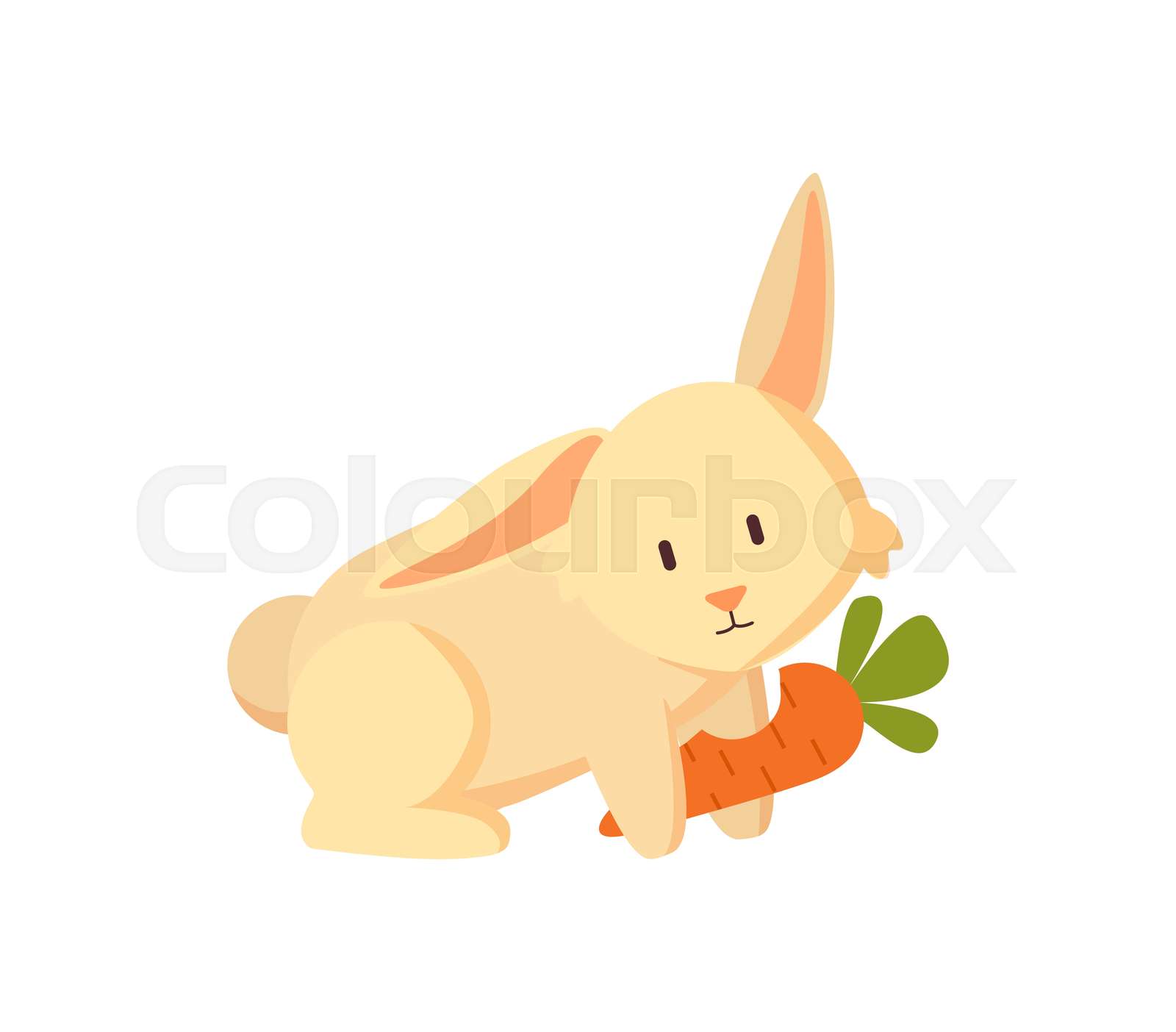 kanin, udskæring, baby | Stock vektor | Colourbox