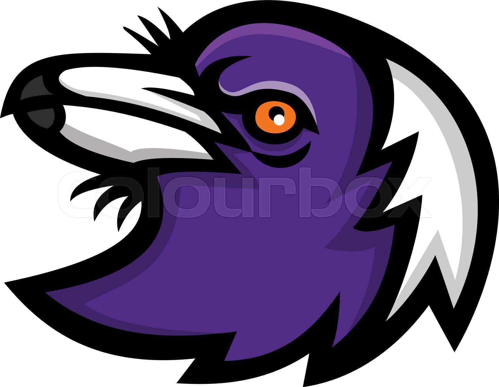 Australian Magpie Head Mascot | Stock vector | Colourbox