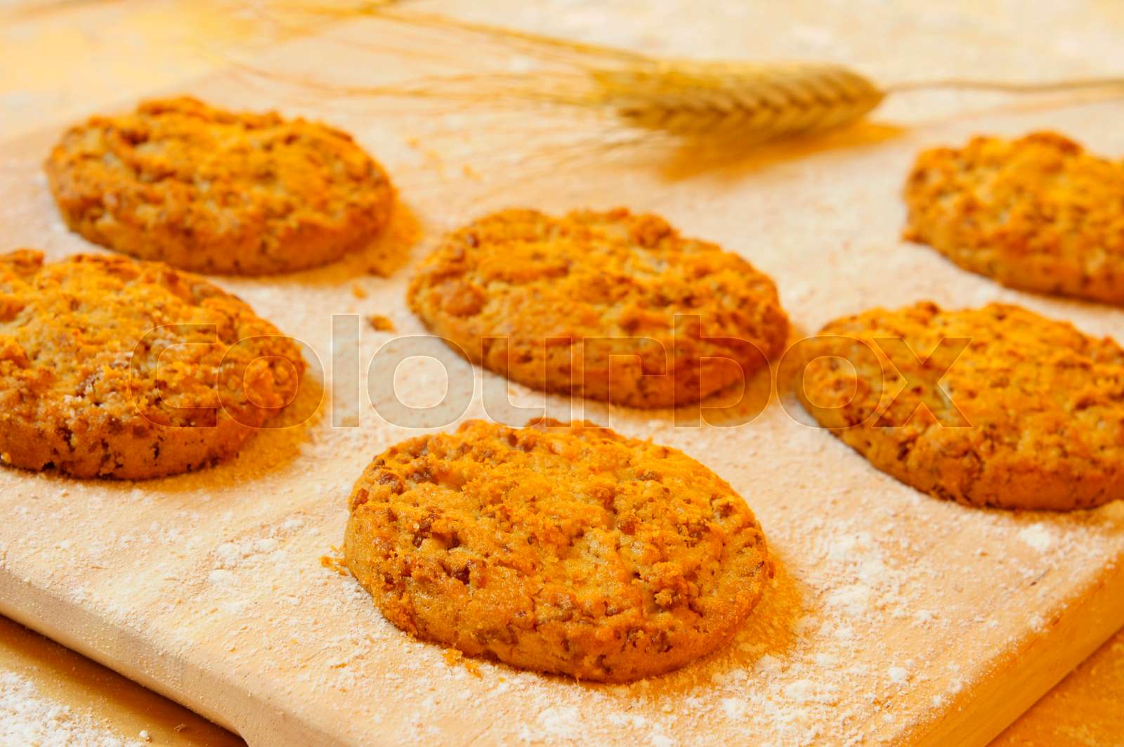 bran flake cookies | Stock image | Colourbox