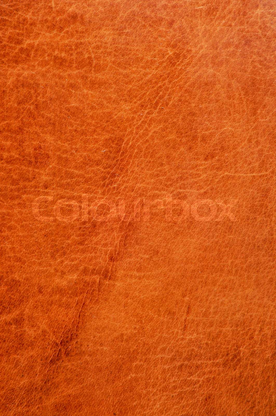 leather texture | Stock image | Colourbox