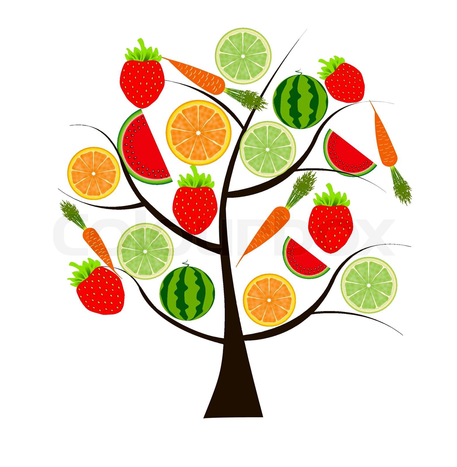 fruit tree for your design vector illustration | Stock vector | Colourbox