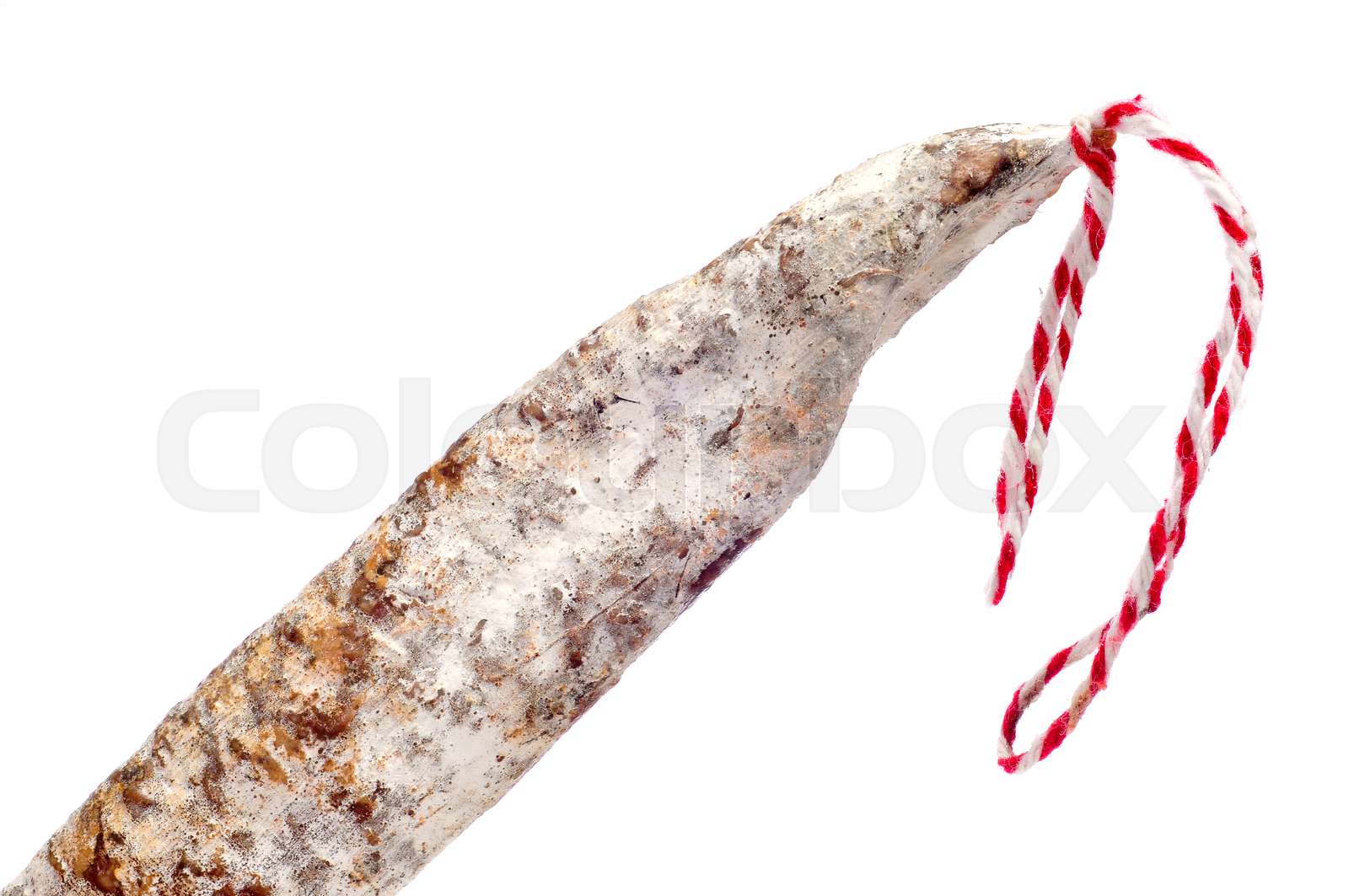 fuet, spanish salami | Stock image | Colourbox