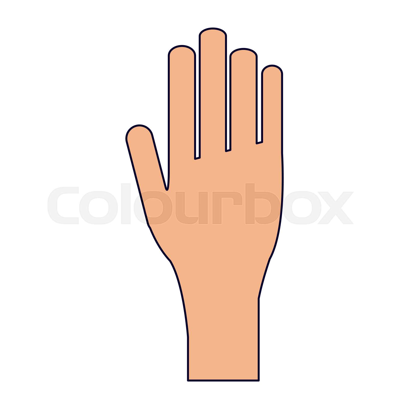 Hand with palm open | Stock vector | Colourbox