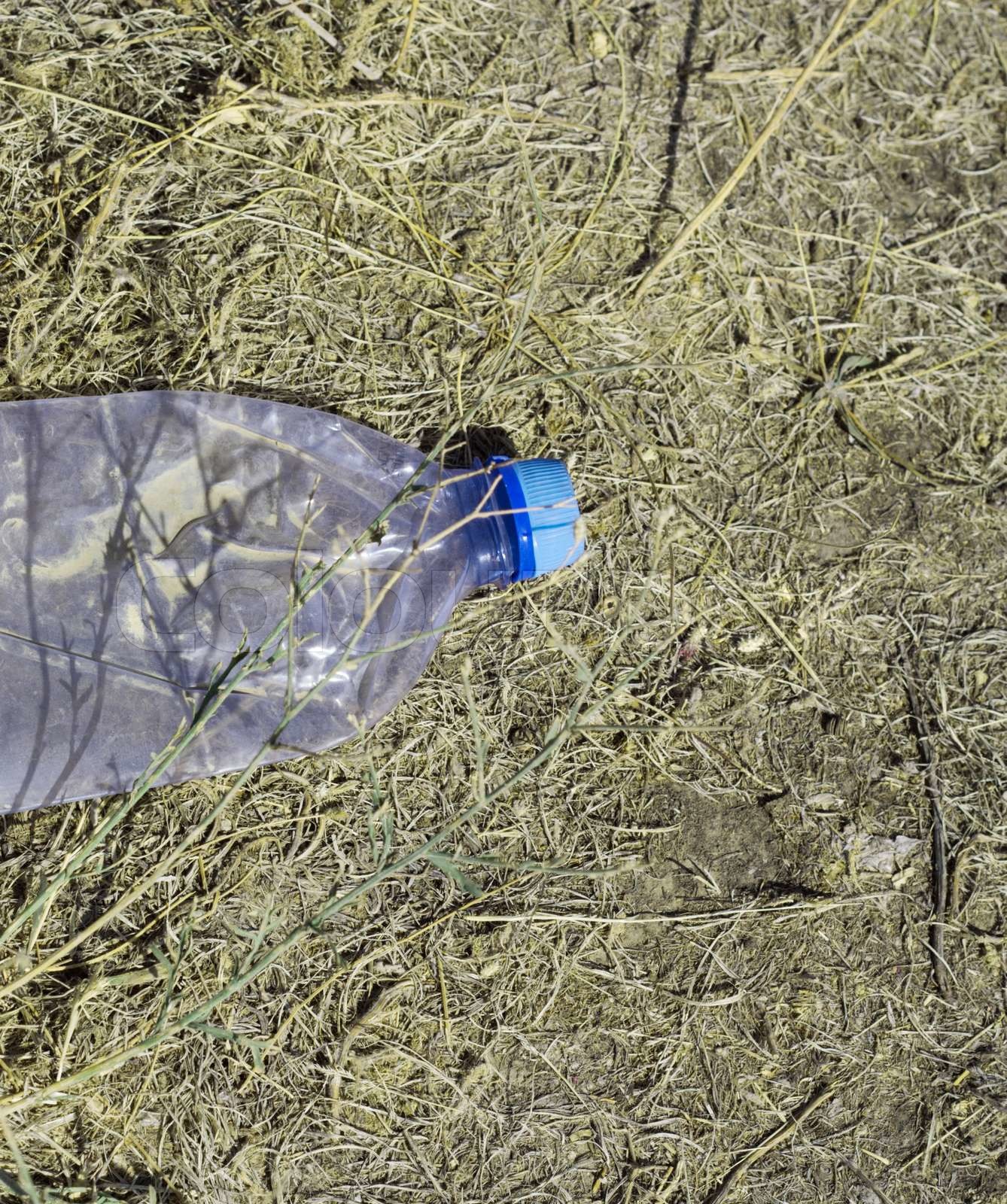 plastic bottle on the ground | Stock image | Colourbox