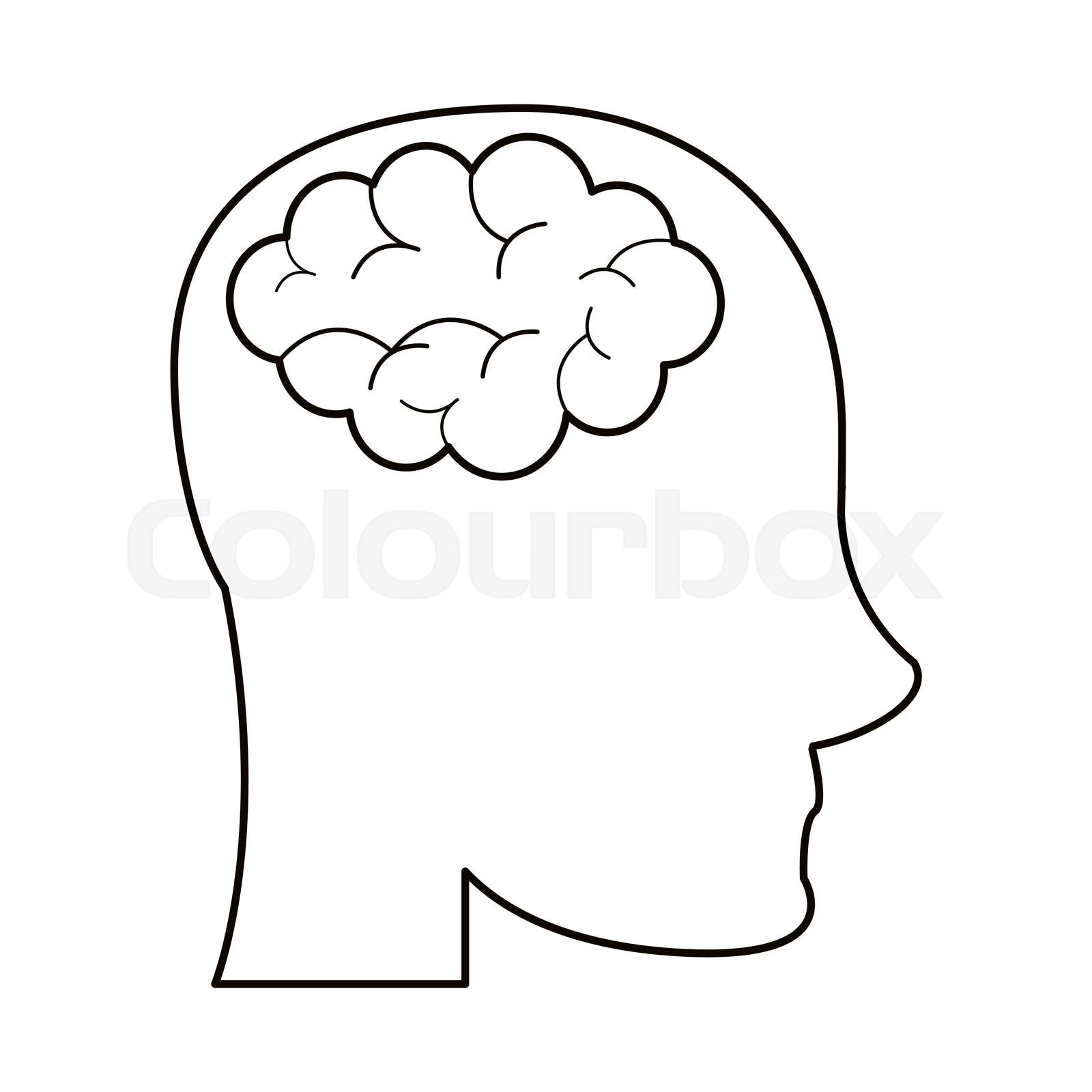 person head brain think outline | Stock vector | Colourbox