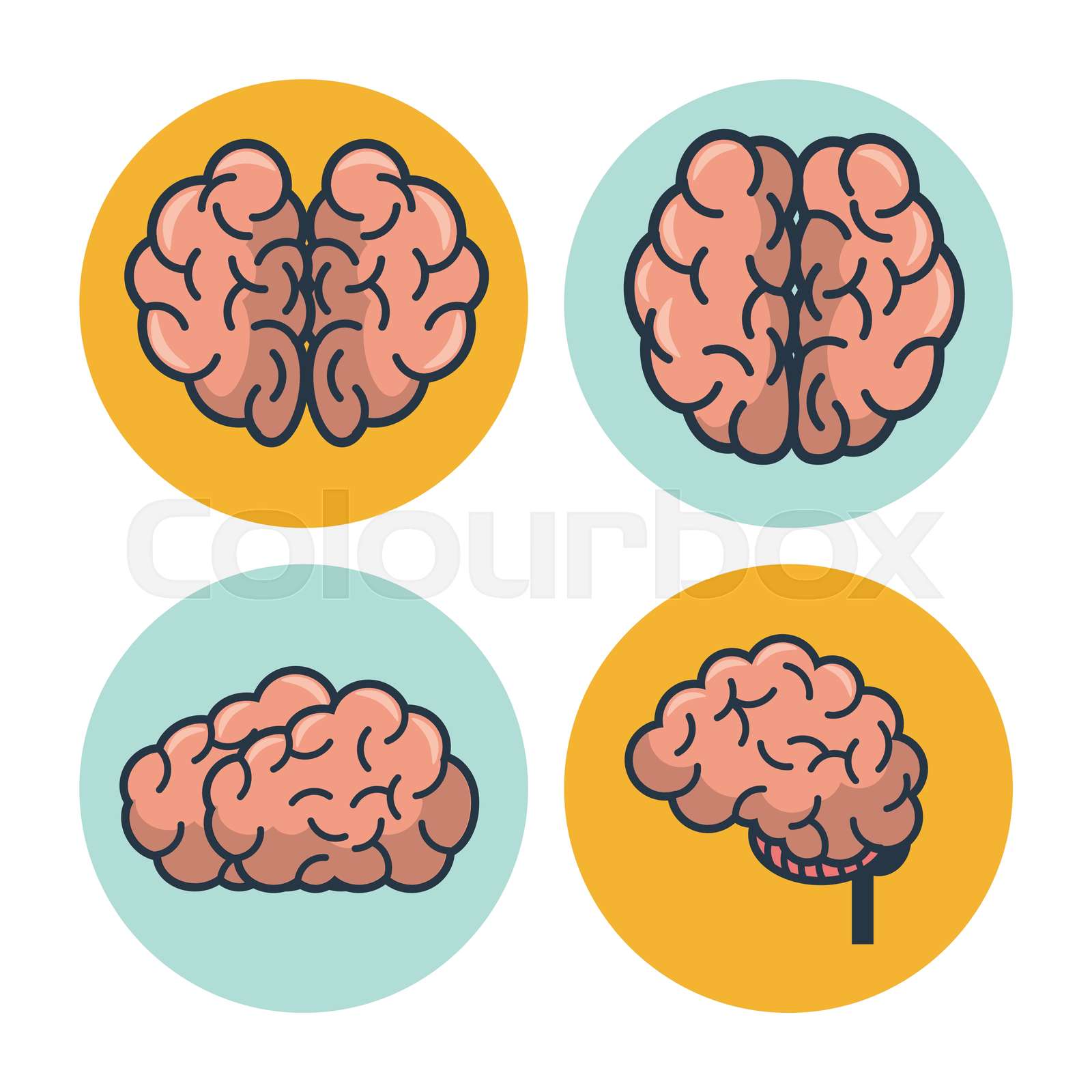 Smart brain icons | Stock vector | Colourbox