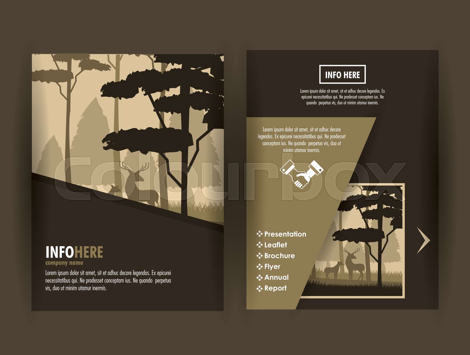 Forest brochure infographic | Stock vector | Colourbox