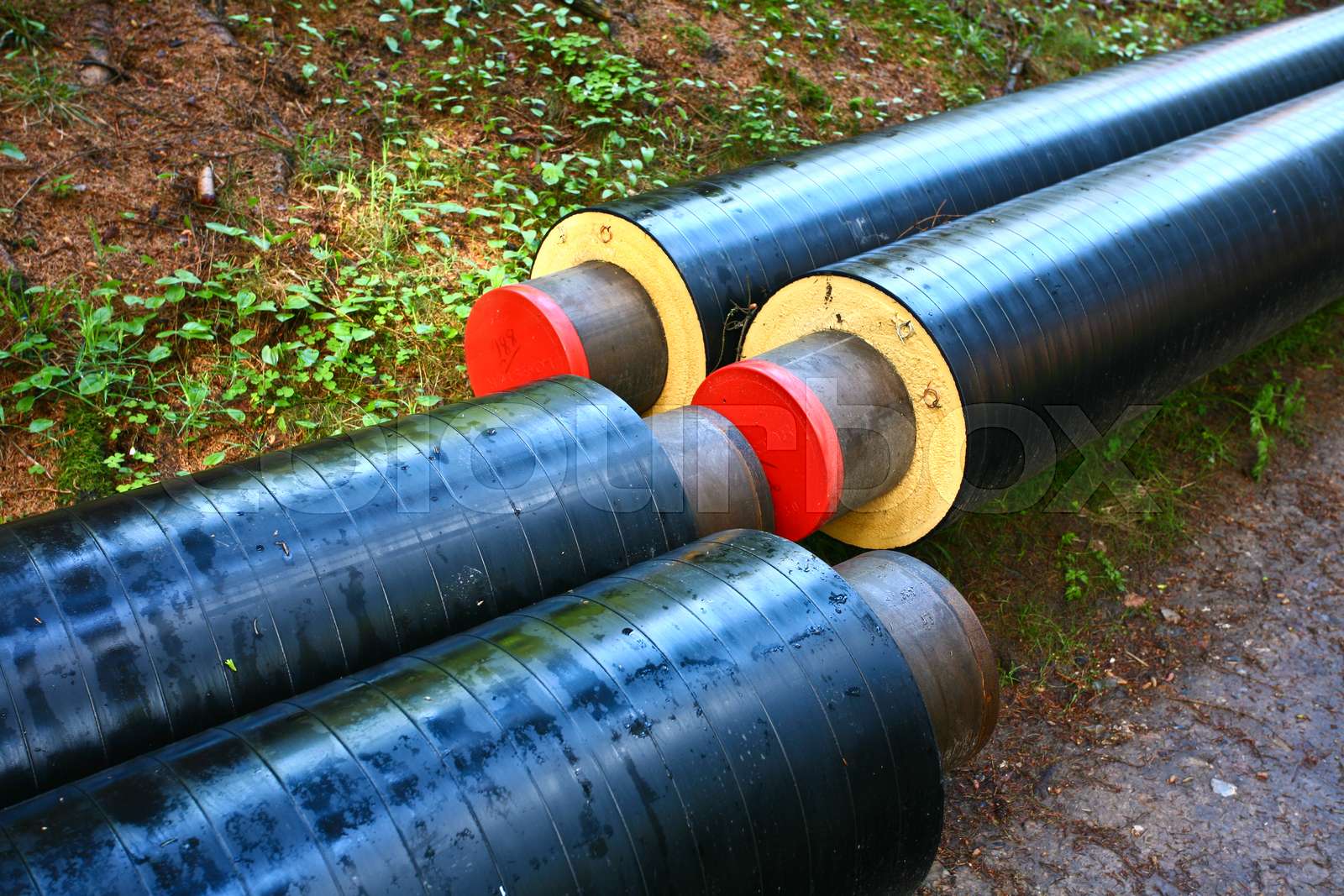 District heating pipes through the forest of Rudeskov | Stock image ...