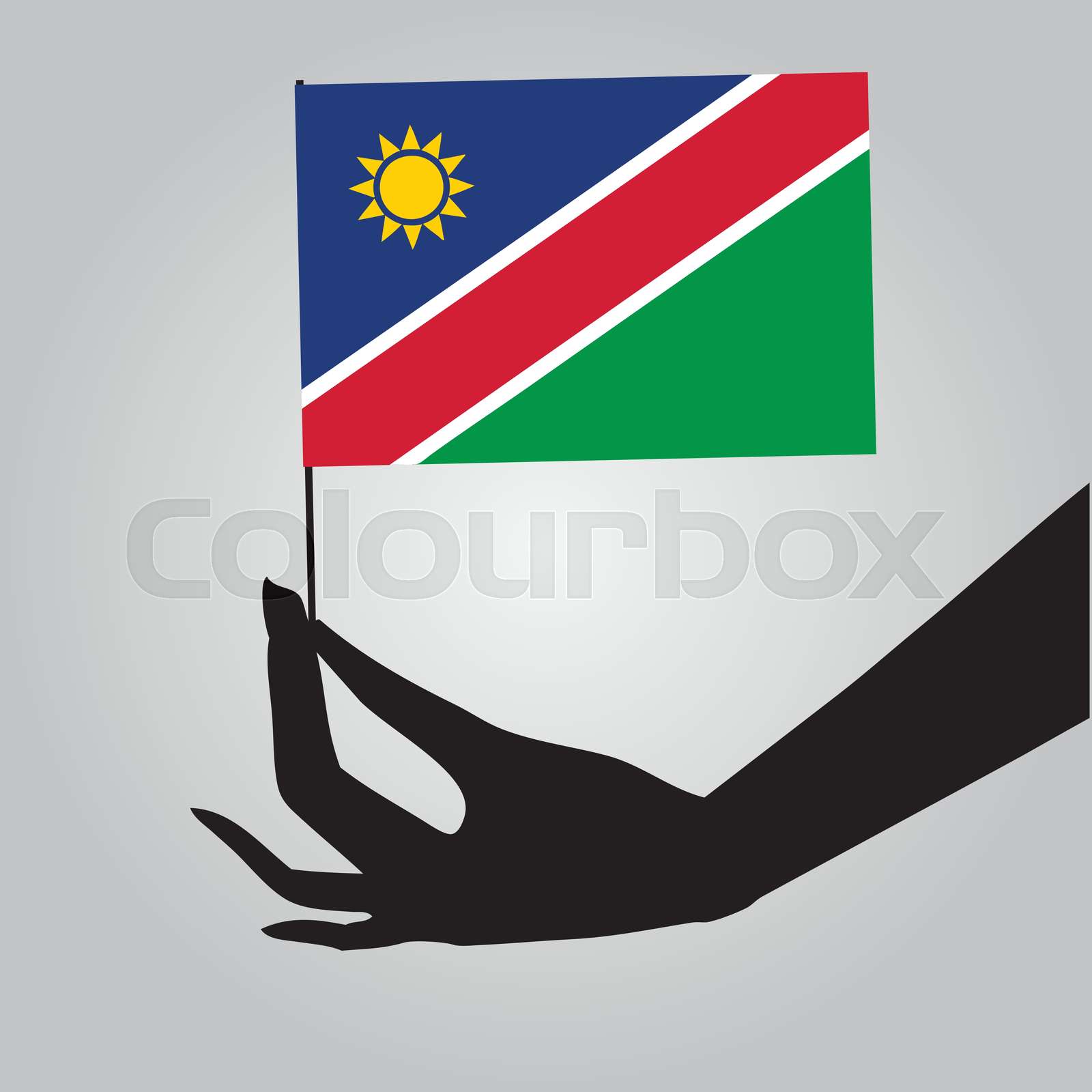 Hand with flag Namibia | Stock vector | Colourbox