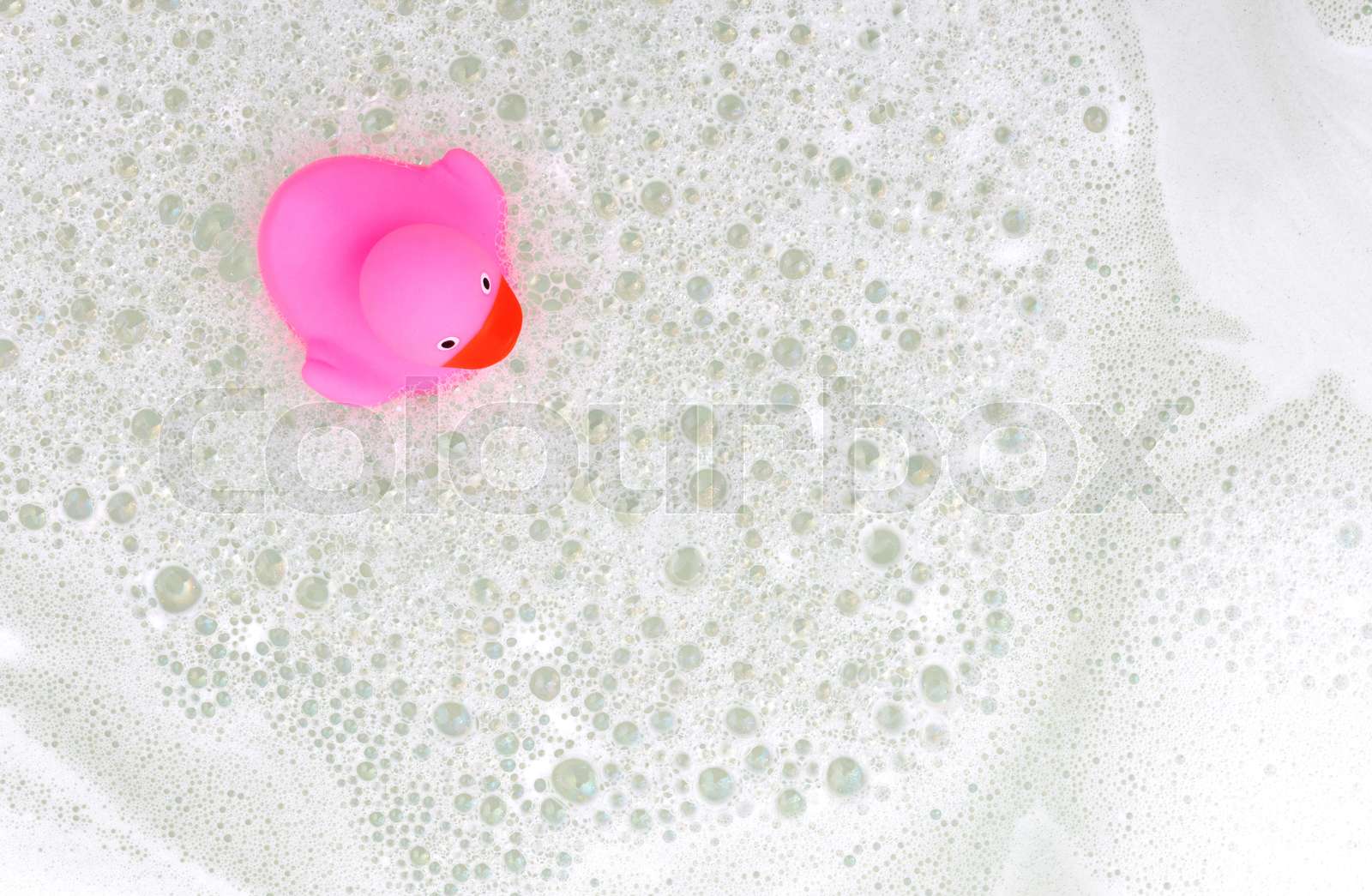 Pink duck in a bathtub | Stock image | Colourbox