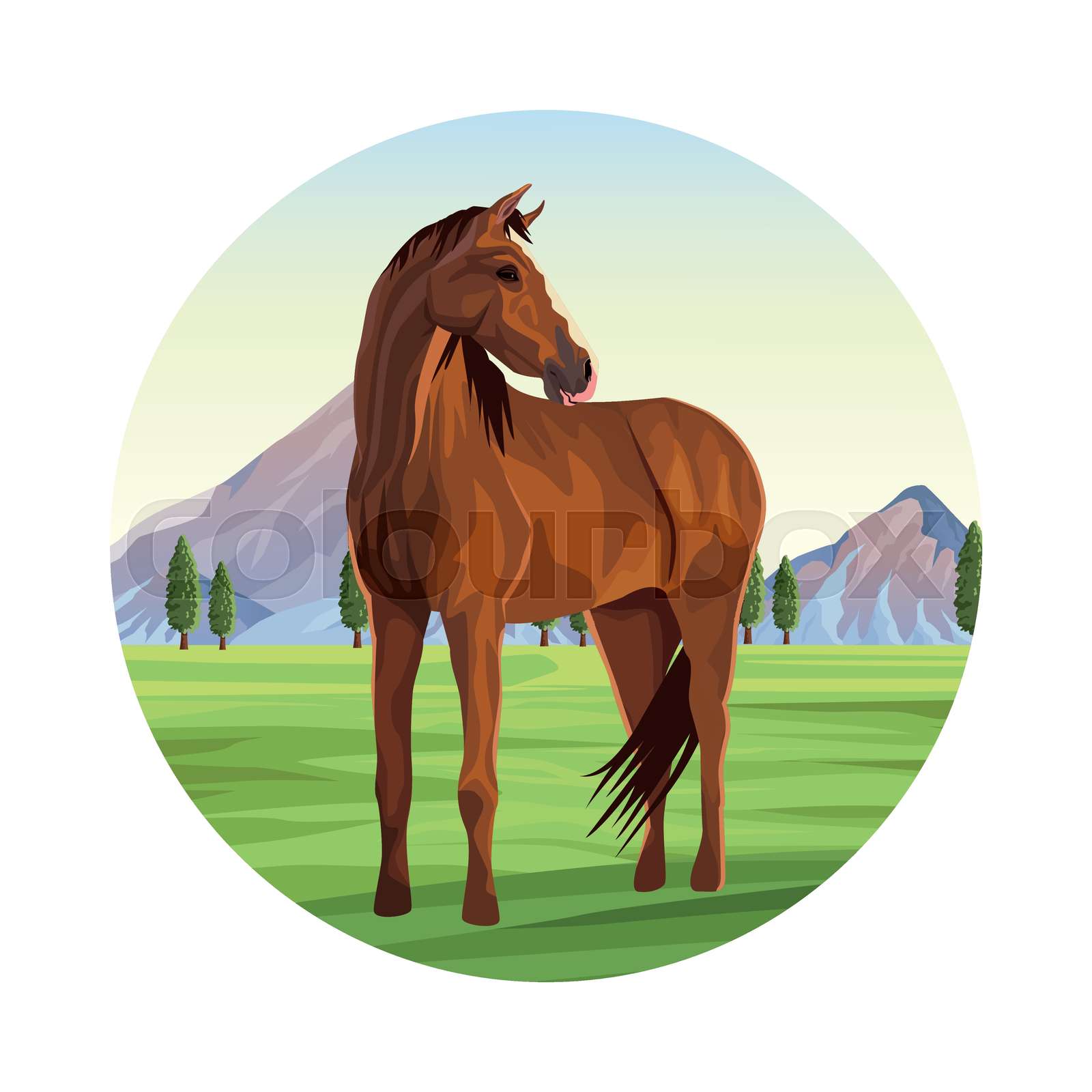 Horse farm animal | Stock vector | Colourbox