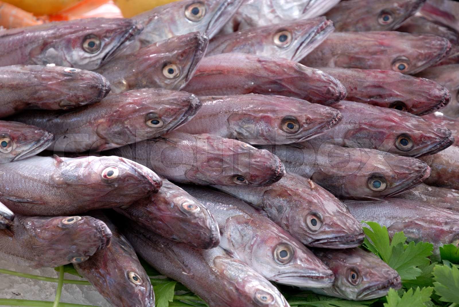 Frischer Fisch am Markt in Aix -en- Provence , Frankreich | Stock Bild ...
