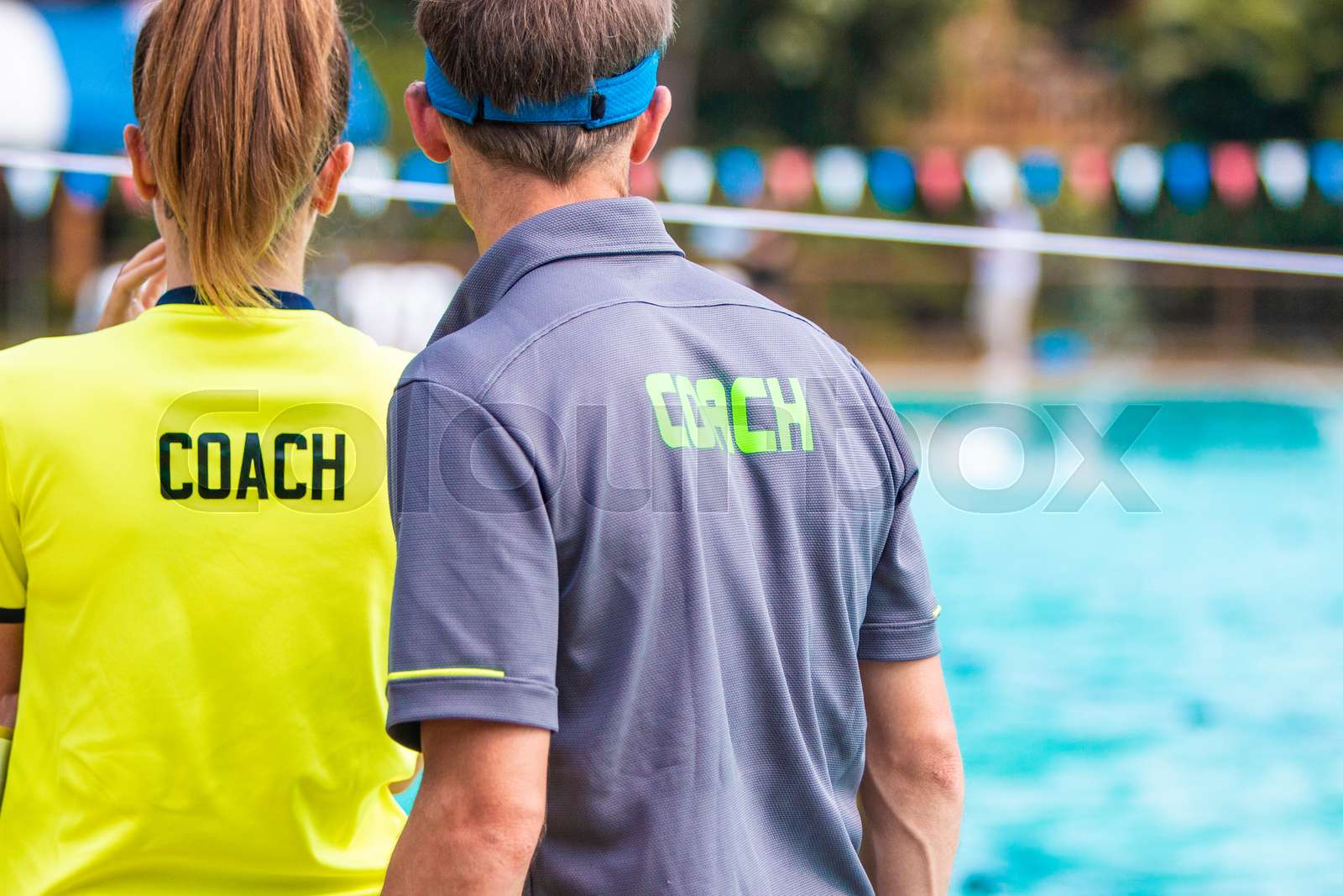 Back view of sport coaches | Stock image | Colourbox