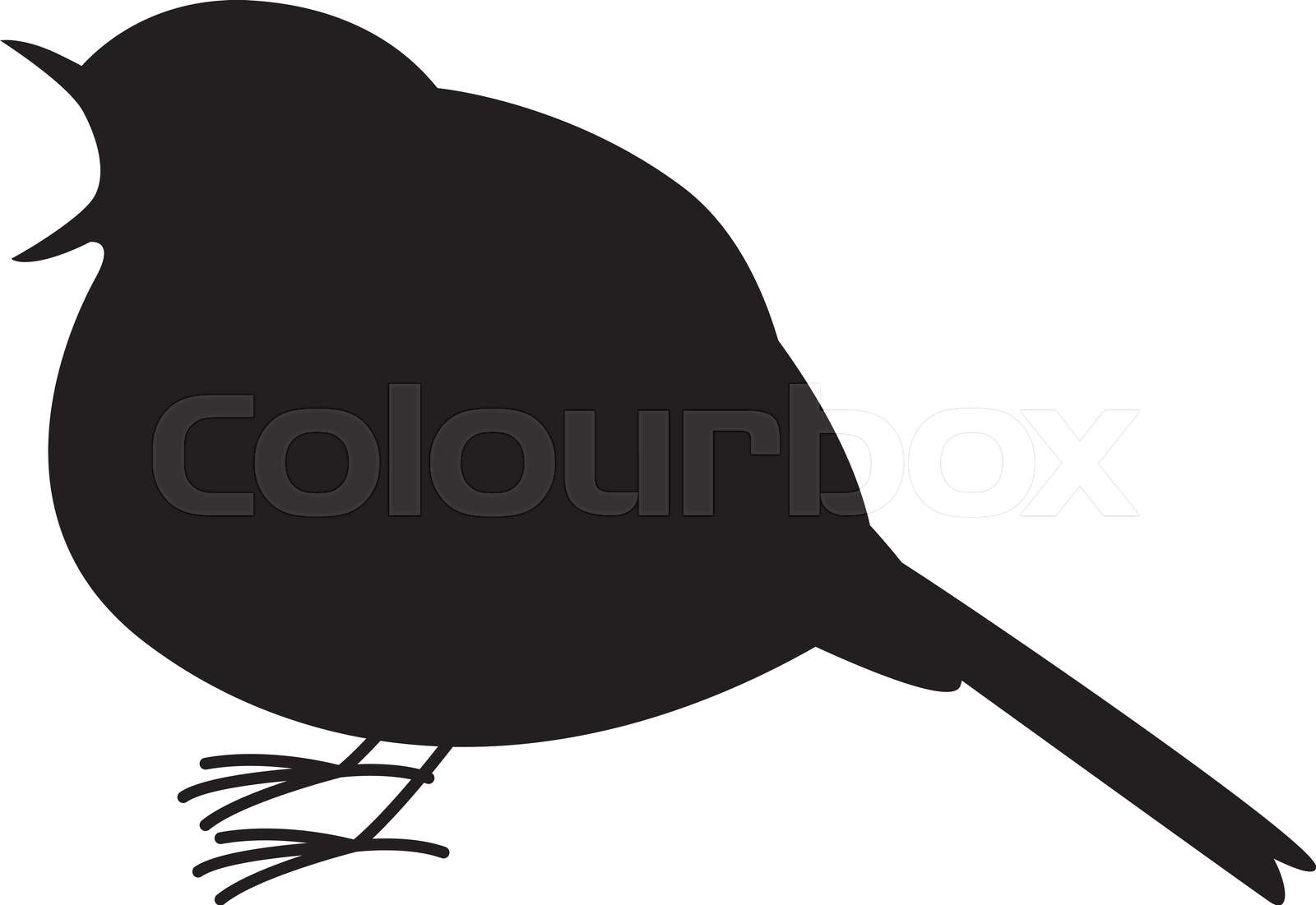 robin bird ,vector illustration , | Stock vector | Colourbox