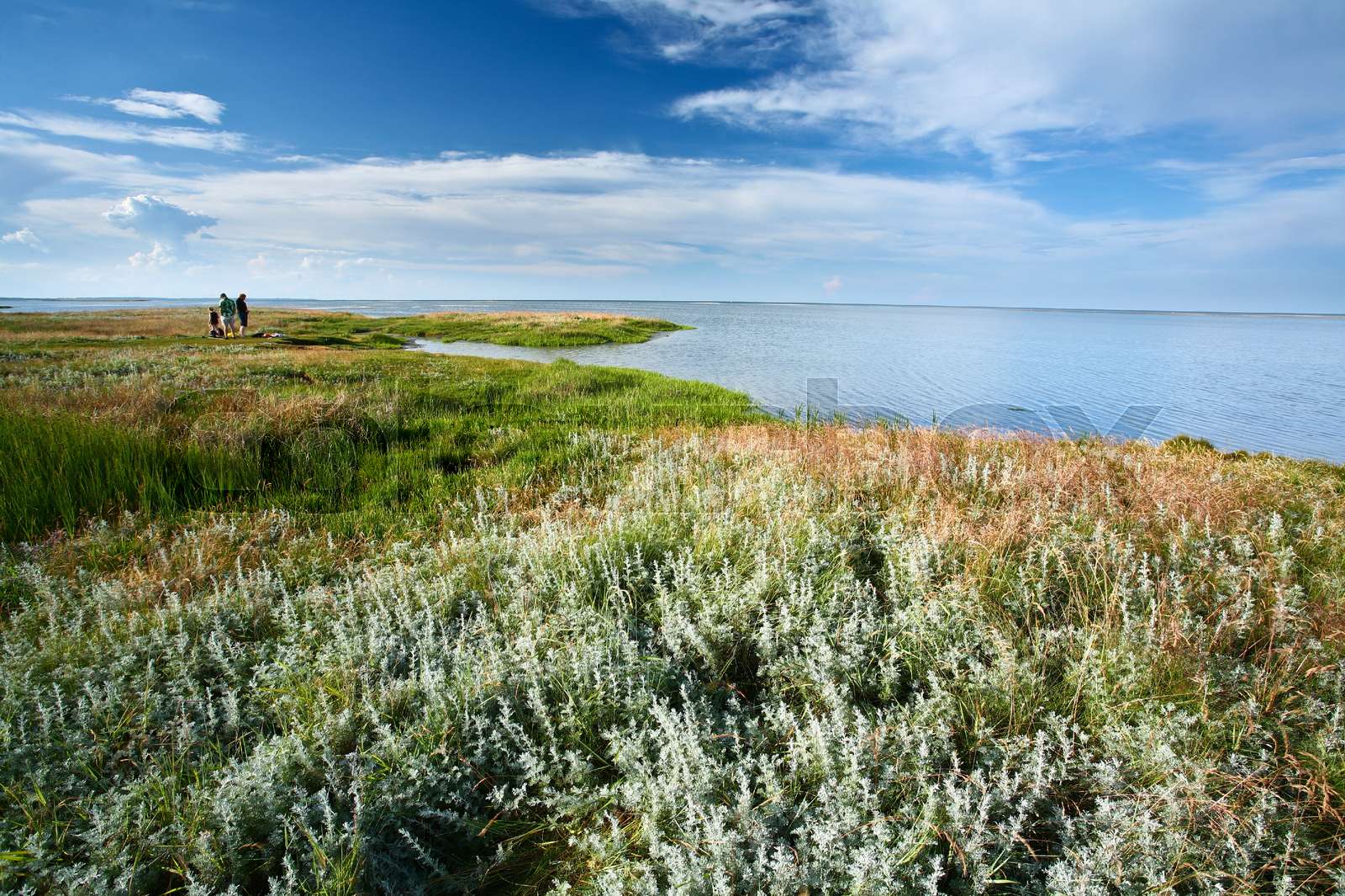 Djursland | Stock image | Colourbox