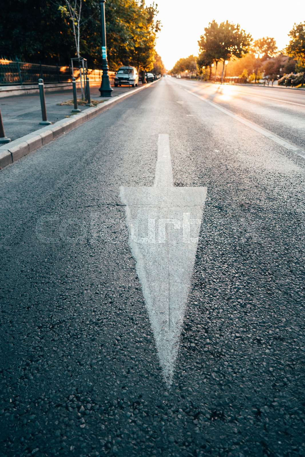 Arrow signs as road markings on a street | Stock image | Colourbox