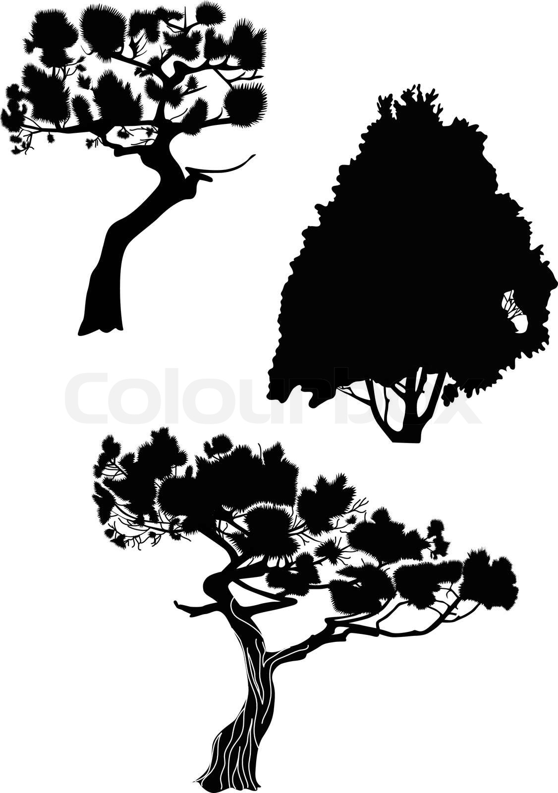 Fur-tree a fir a pine trees | Stock vector | Colourbox