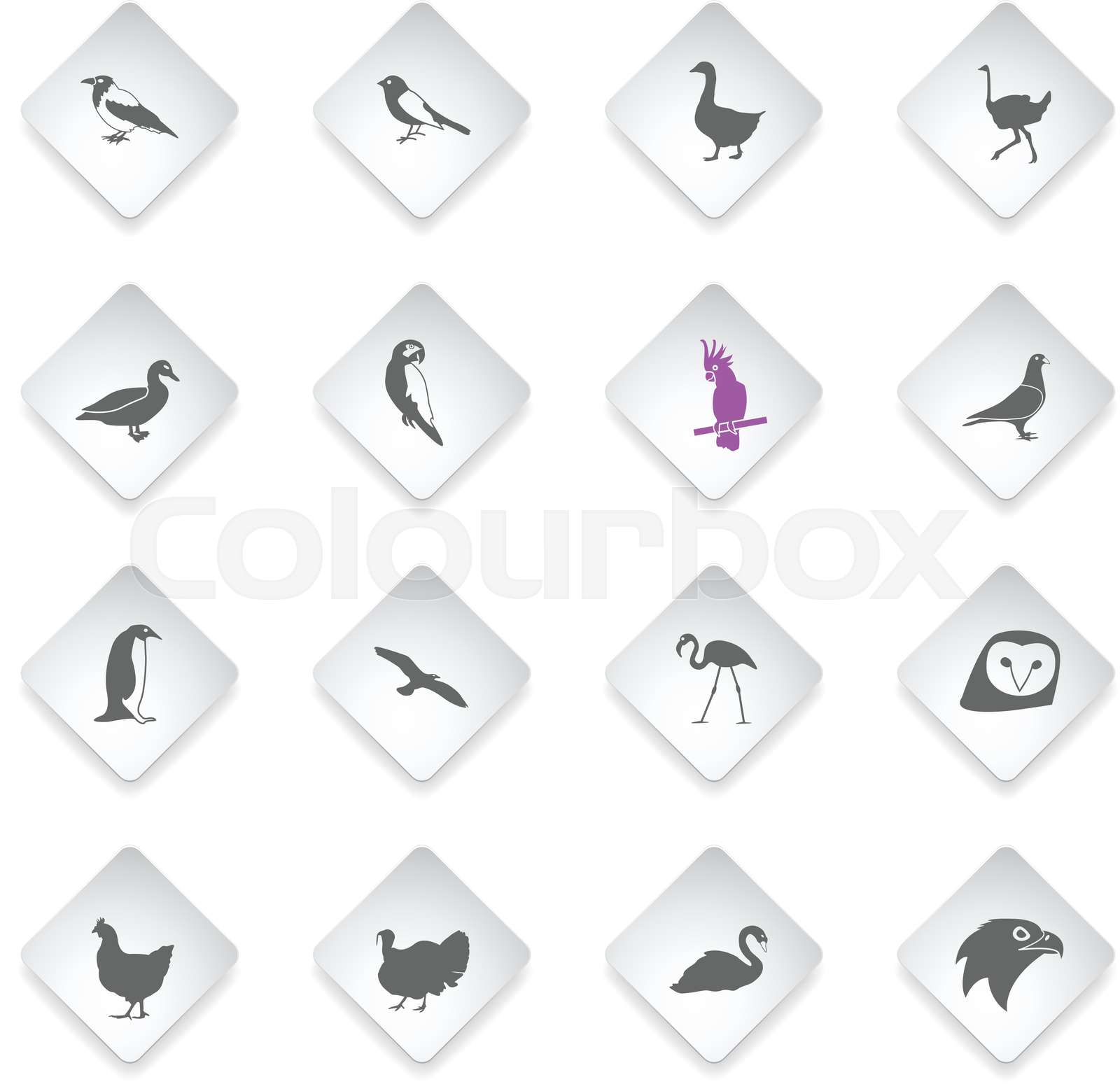 birds icon set | Stock vector | Colourbox