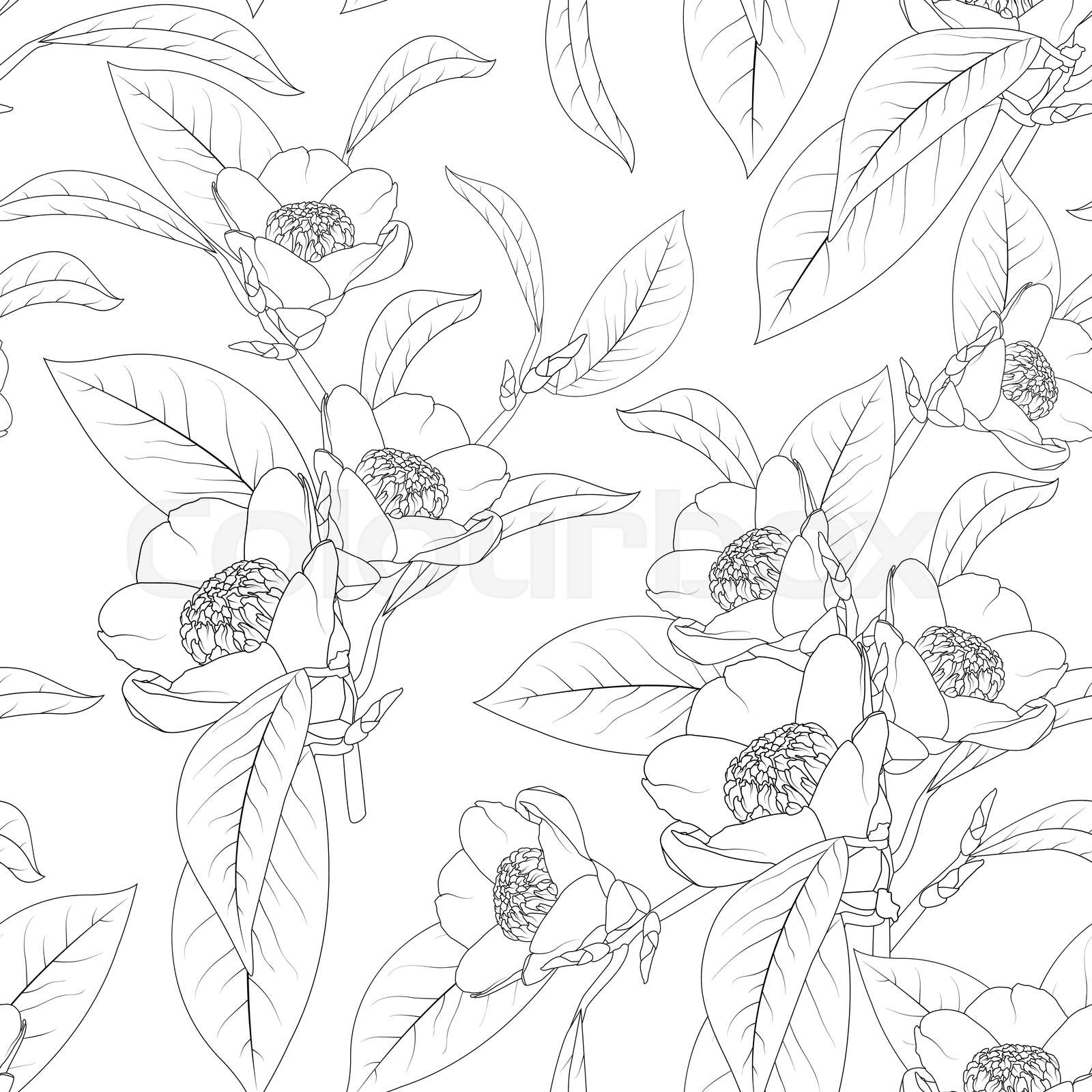 Line Drawing Flower Pattern