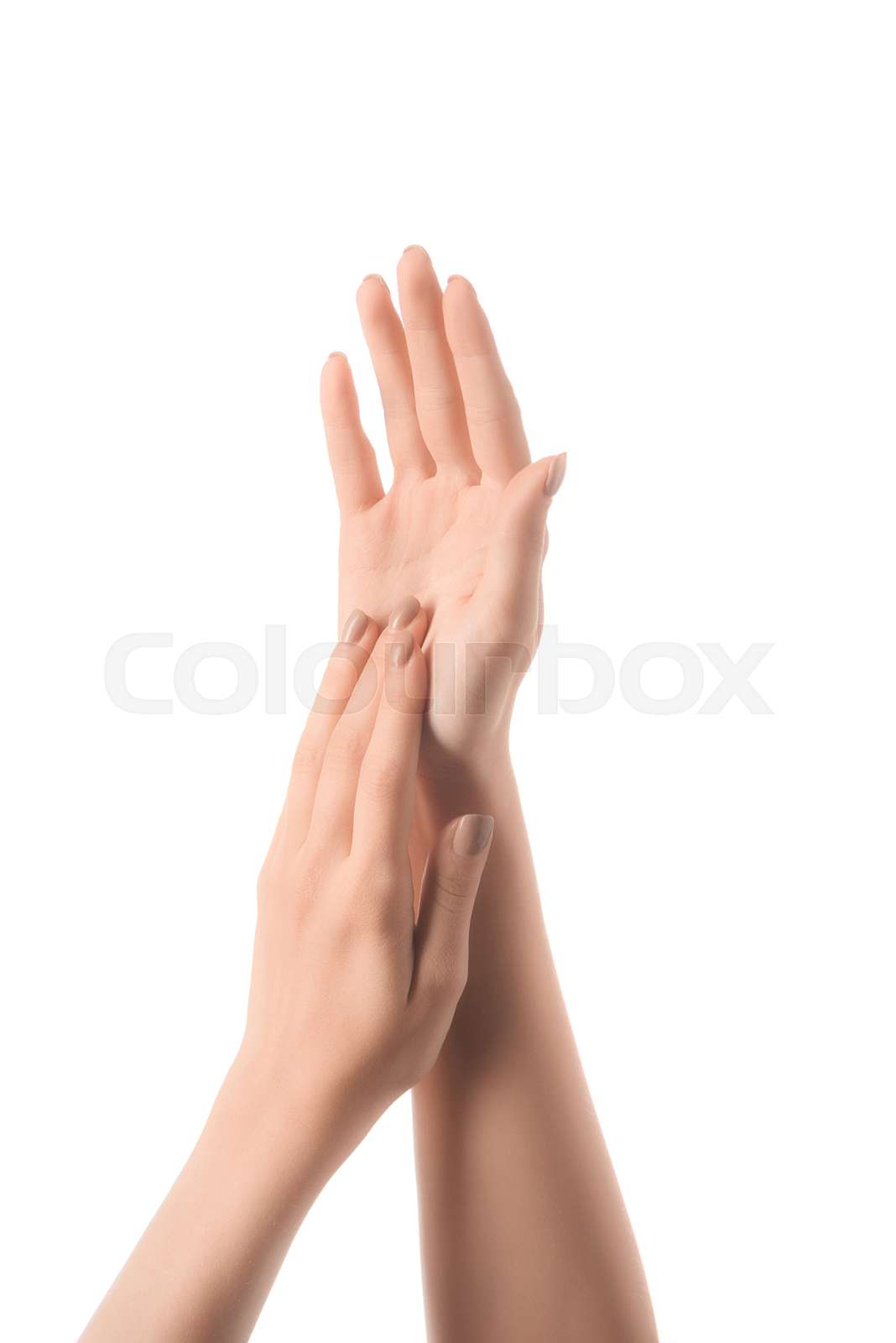 partial view of woman hands touching isolated on white | Stock image ...
