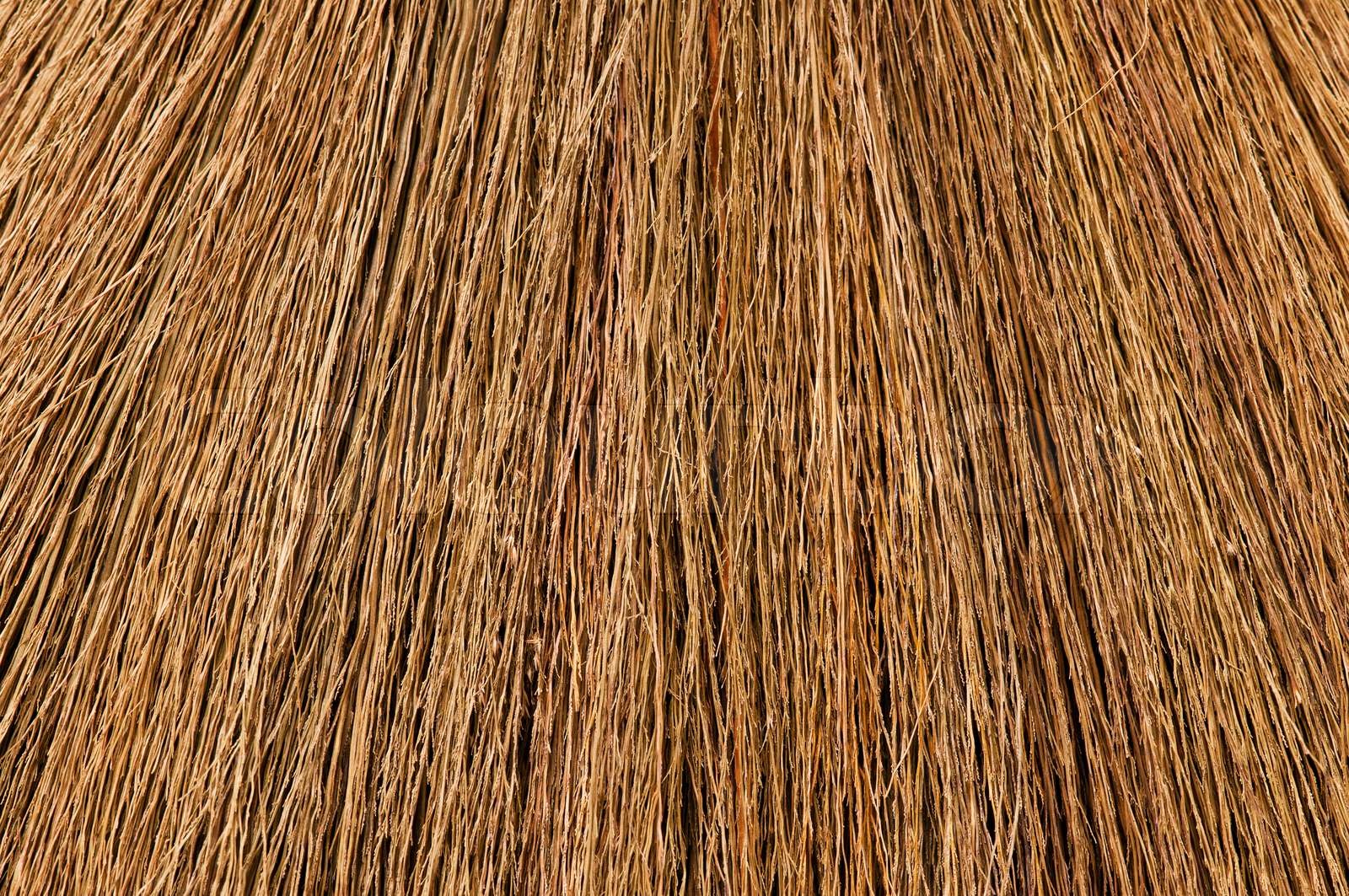 Broom texture | Stock image | Colourbox