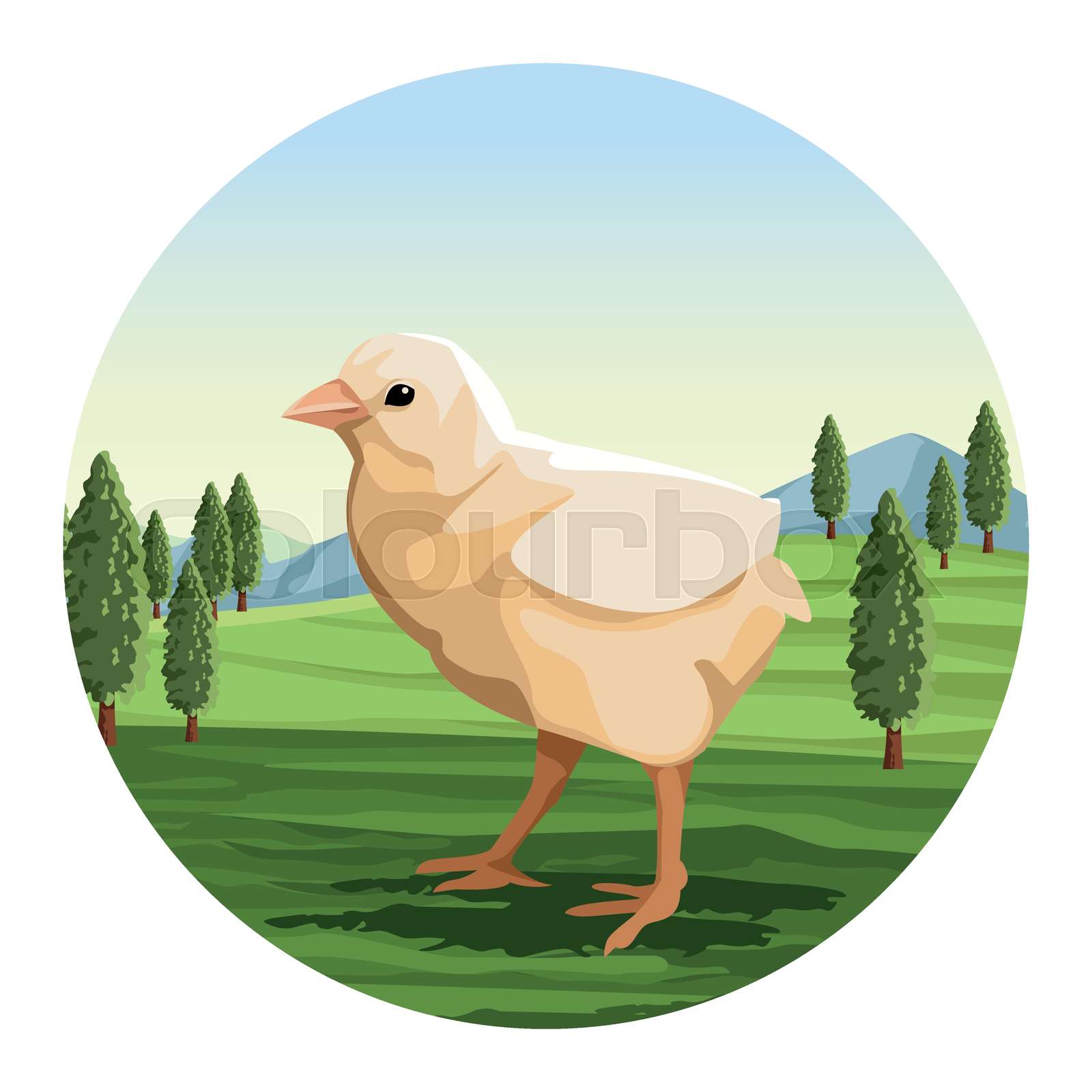 Chicken little over landscape | Stock vector | Colourbox