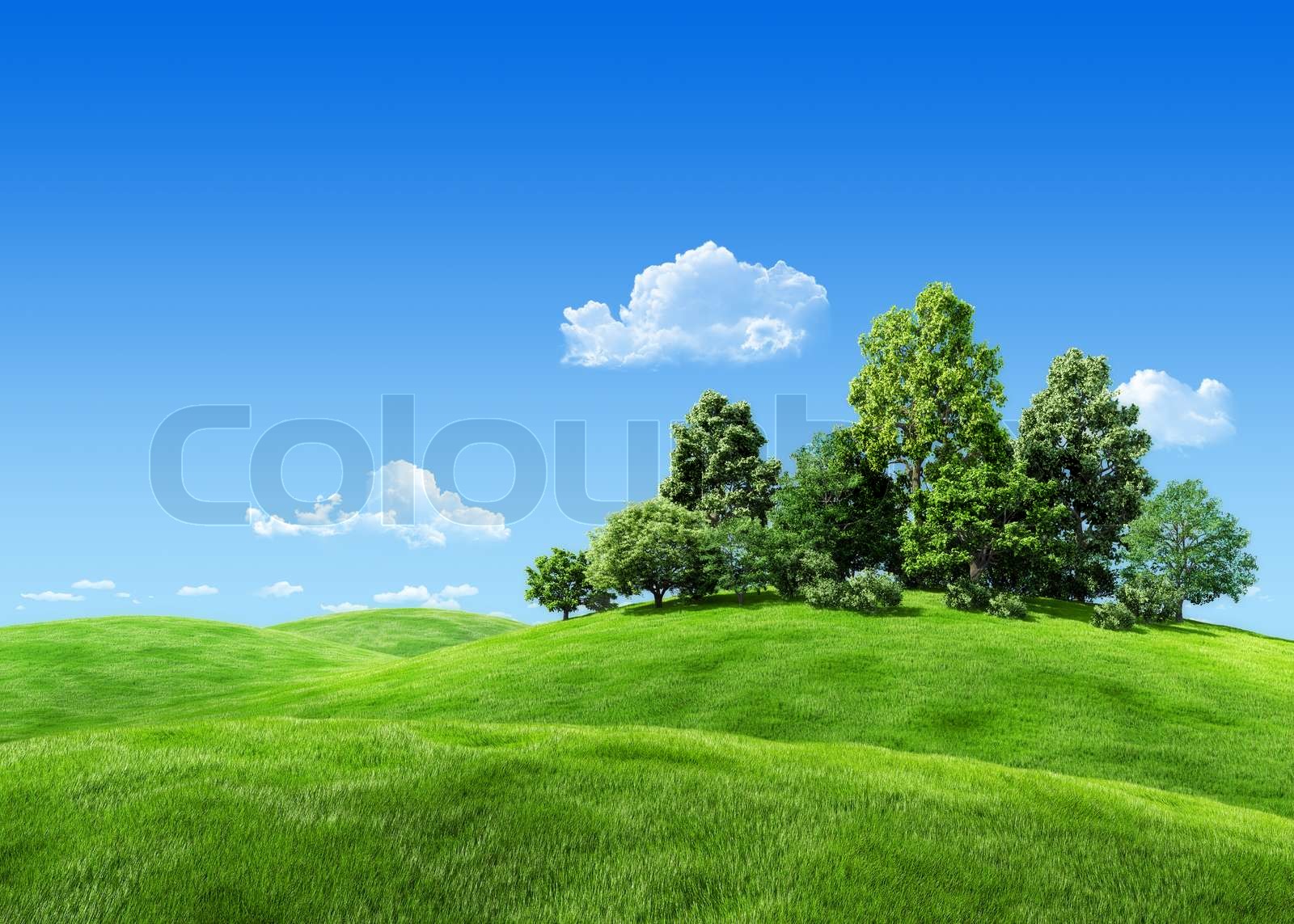 Very detailed 7000px trees on hill - nature collection | Stock image ...