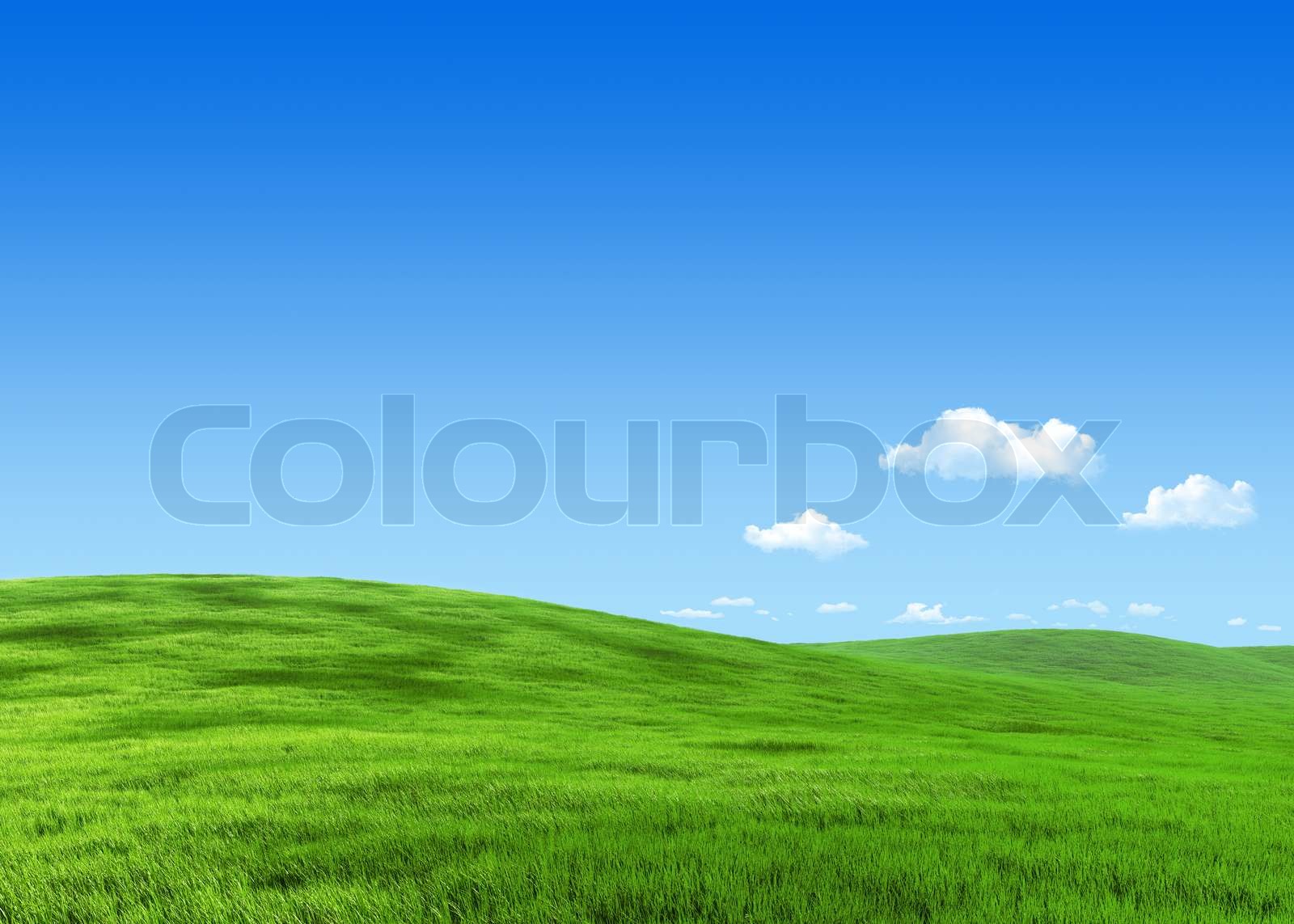 7000px nature collection - Green meadow template | Stock image | Colourbox