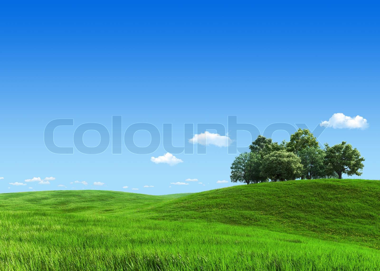 7000px nature collection - Green meadow template | Stock image | Colourbox