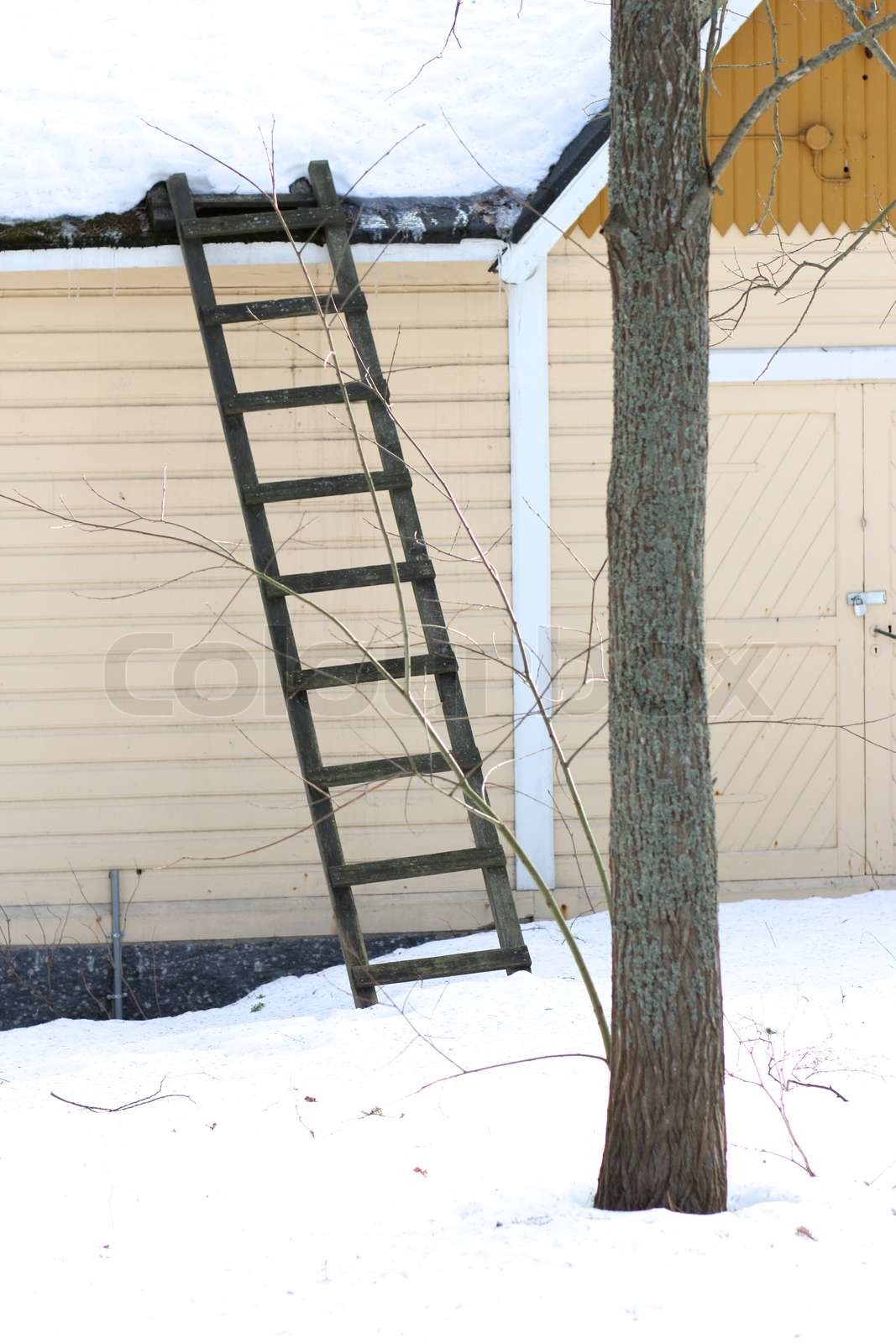 Leiter | Stock Bild | Colourbox