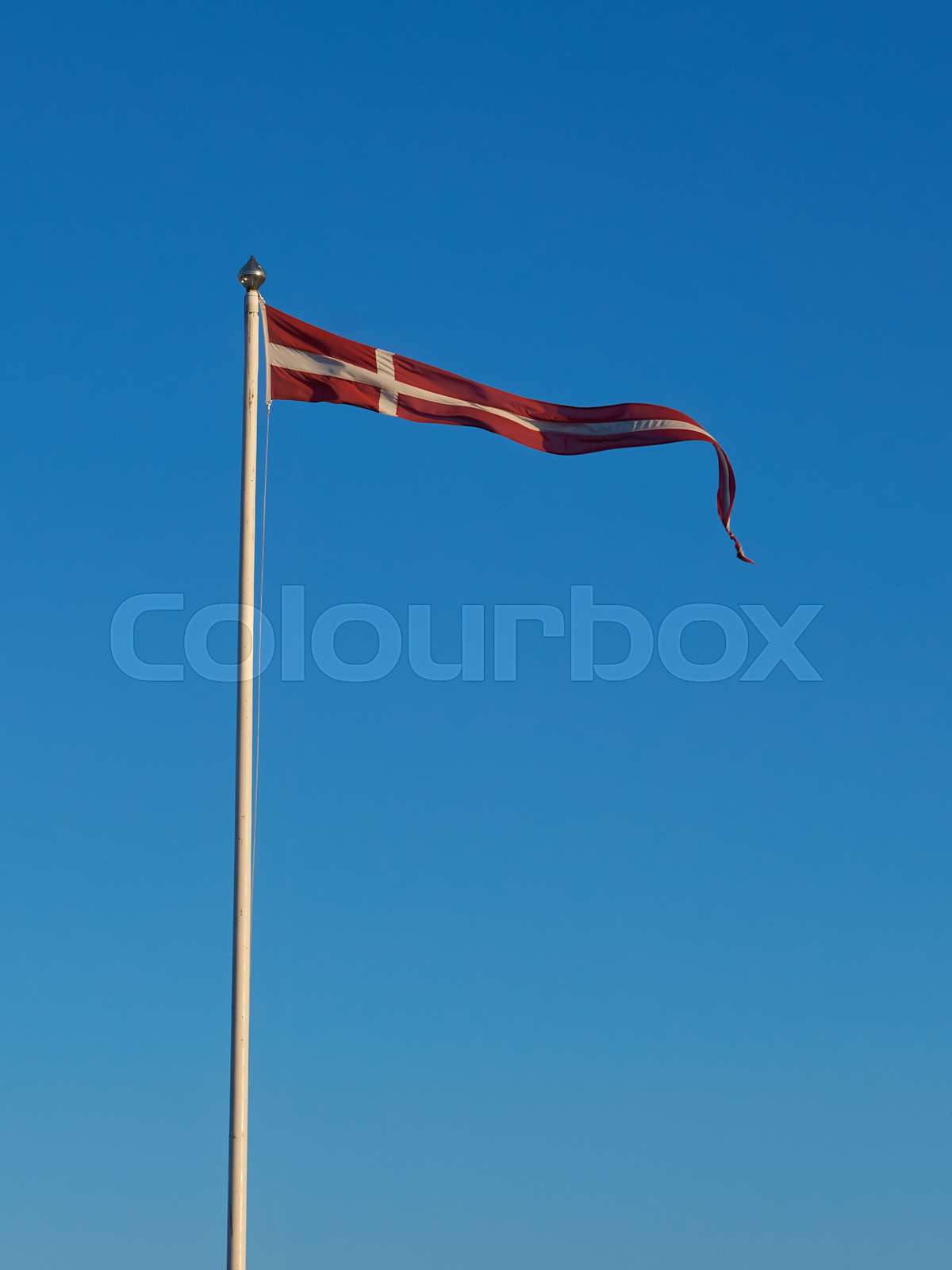 Vimpel flag med Dannebrog på flagstand stander en sommeraften med godt ...