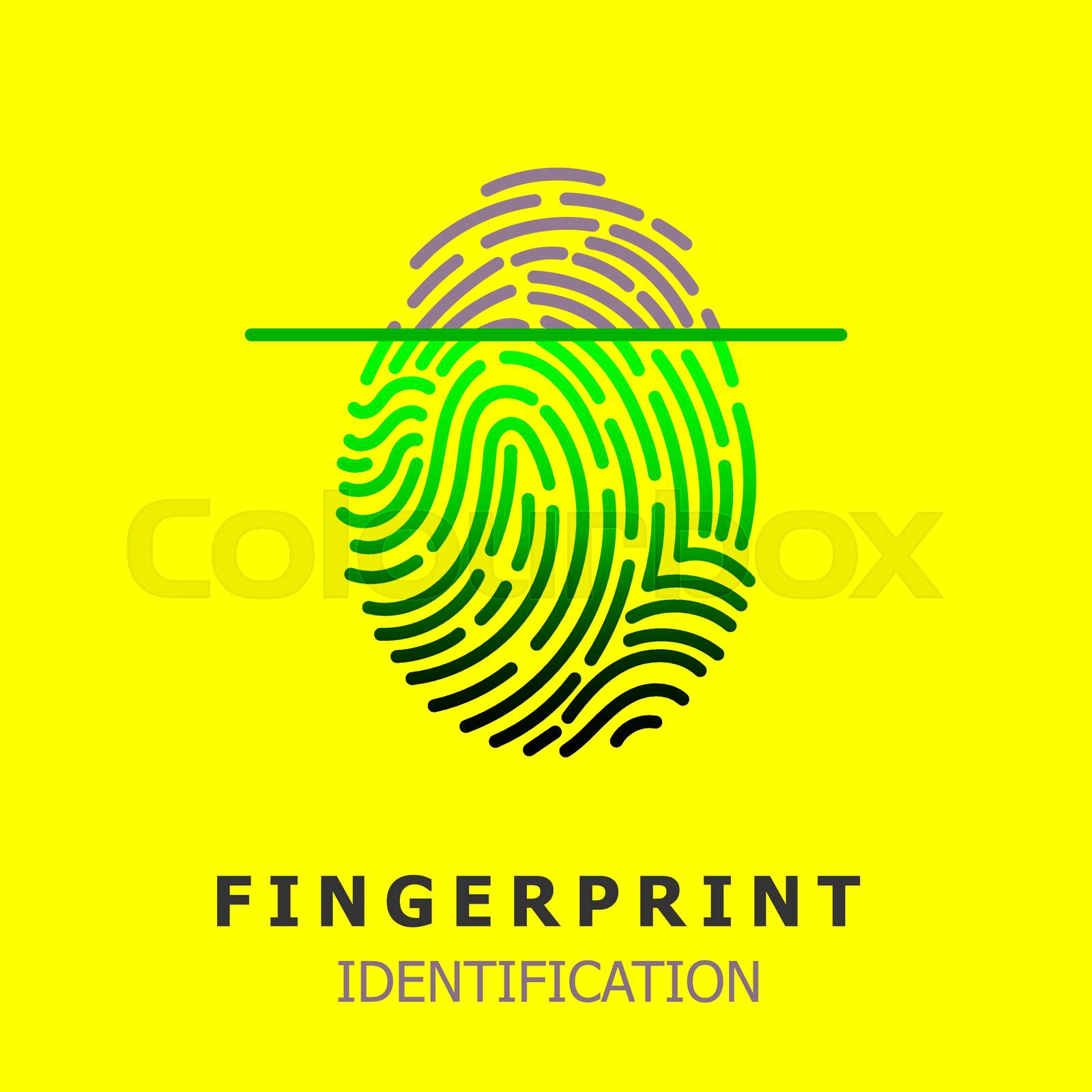 Editable Vector line Fingerprint Scan Icon - fingerprint identification ...