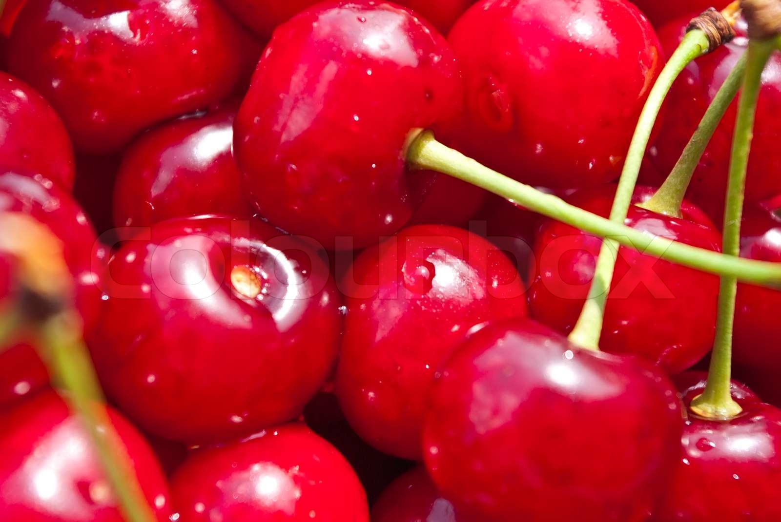 Kirsche | Stock Bild | Colourbox