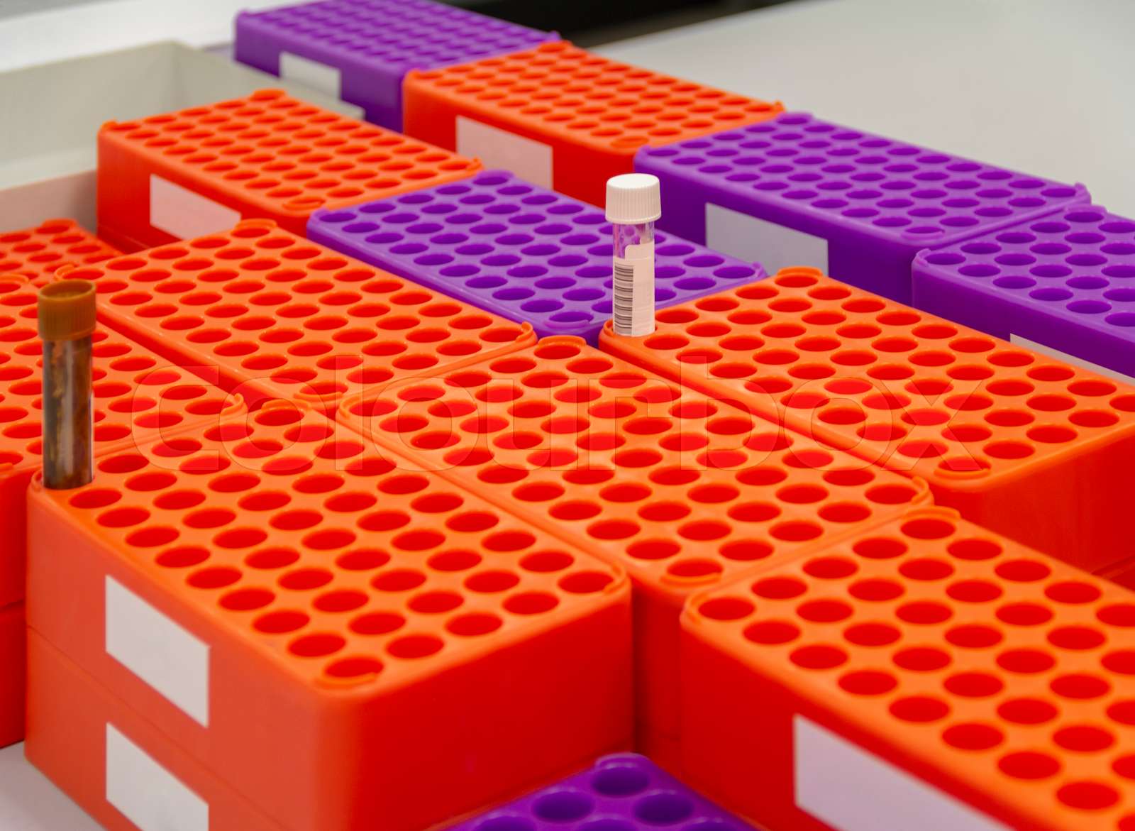 medical sample racks | Stock image | Colourbox