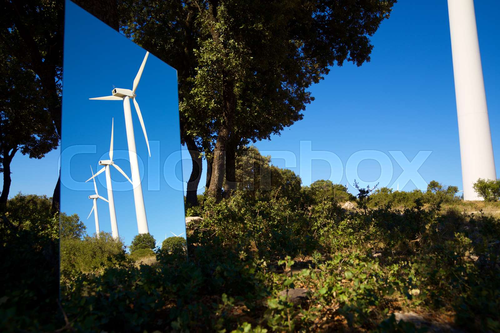 Wind energy concept | Stock image | Colourbox