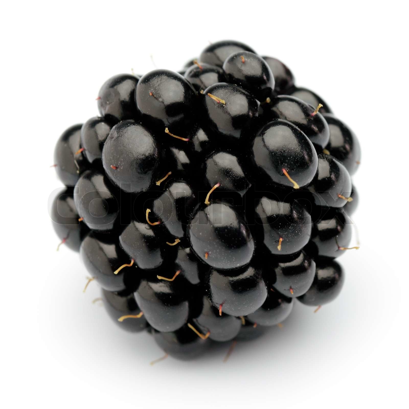 One Blackberry Fruit Png