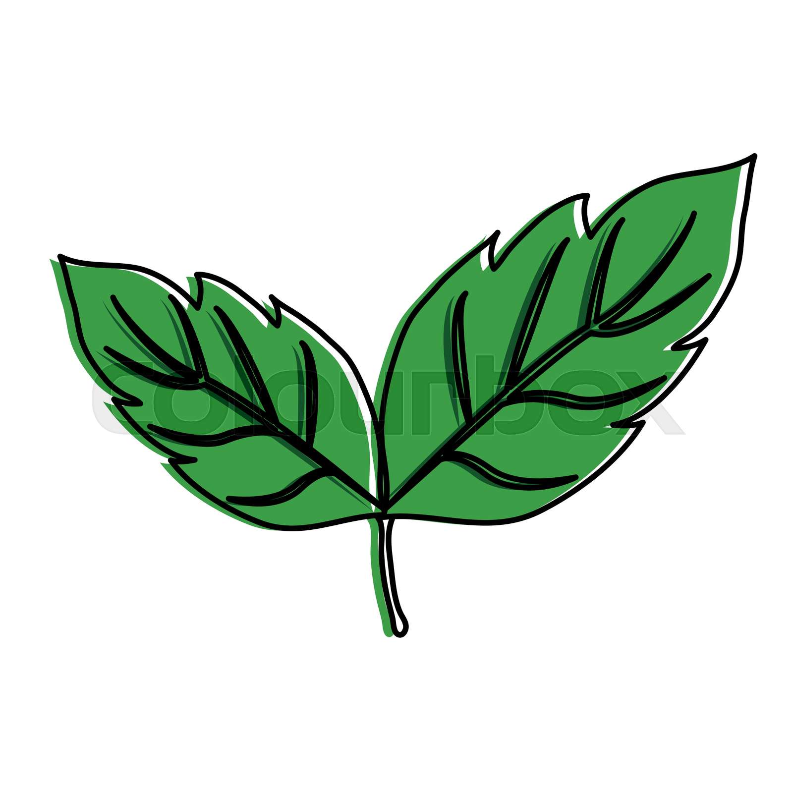 leaves with stem icon image | Stock vector | Colourbox