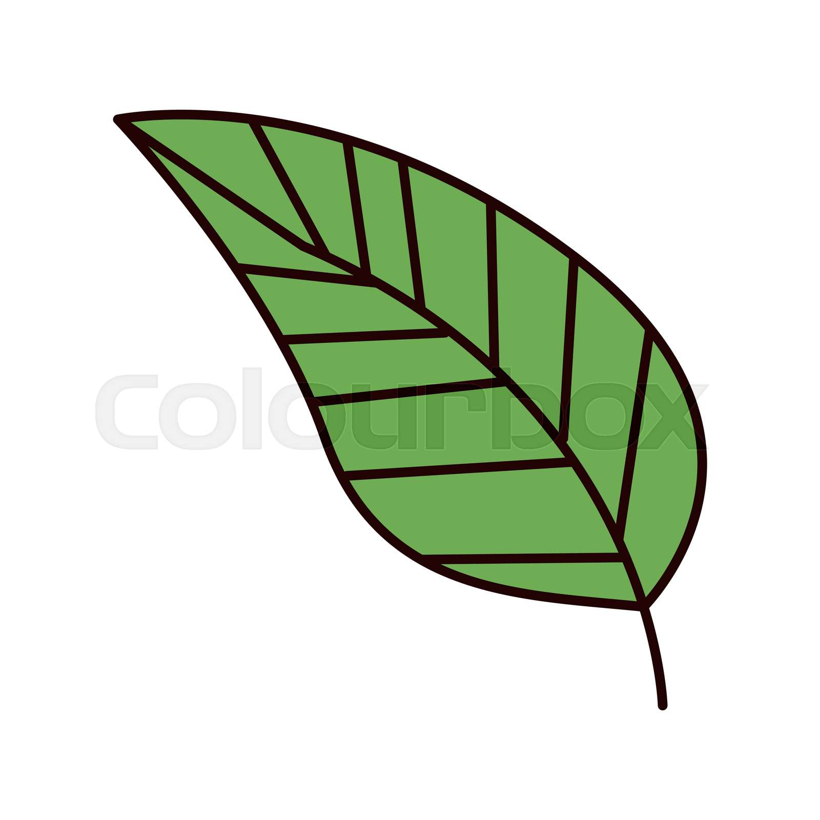 single leaf icon image | Stock vector | Colourbox
