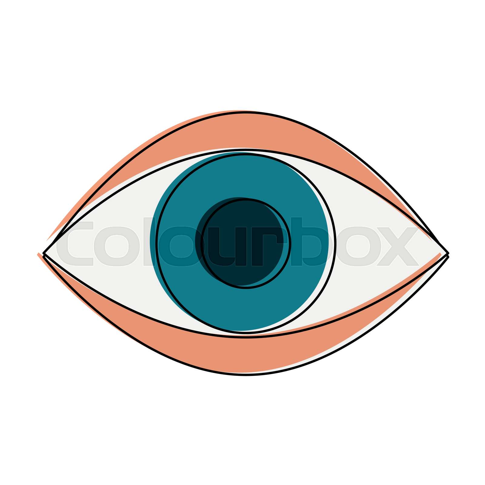 Human eye isolated | Stock vector | Colourbox