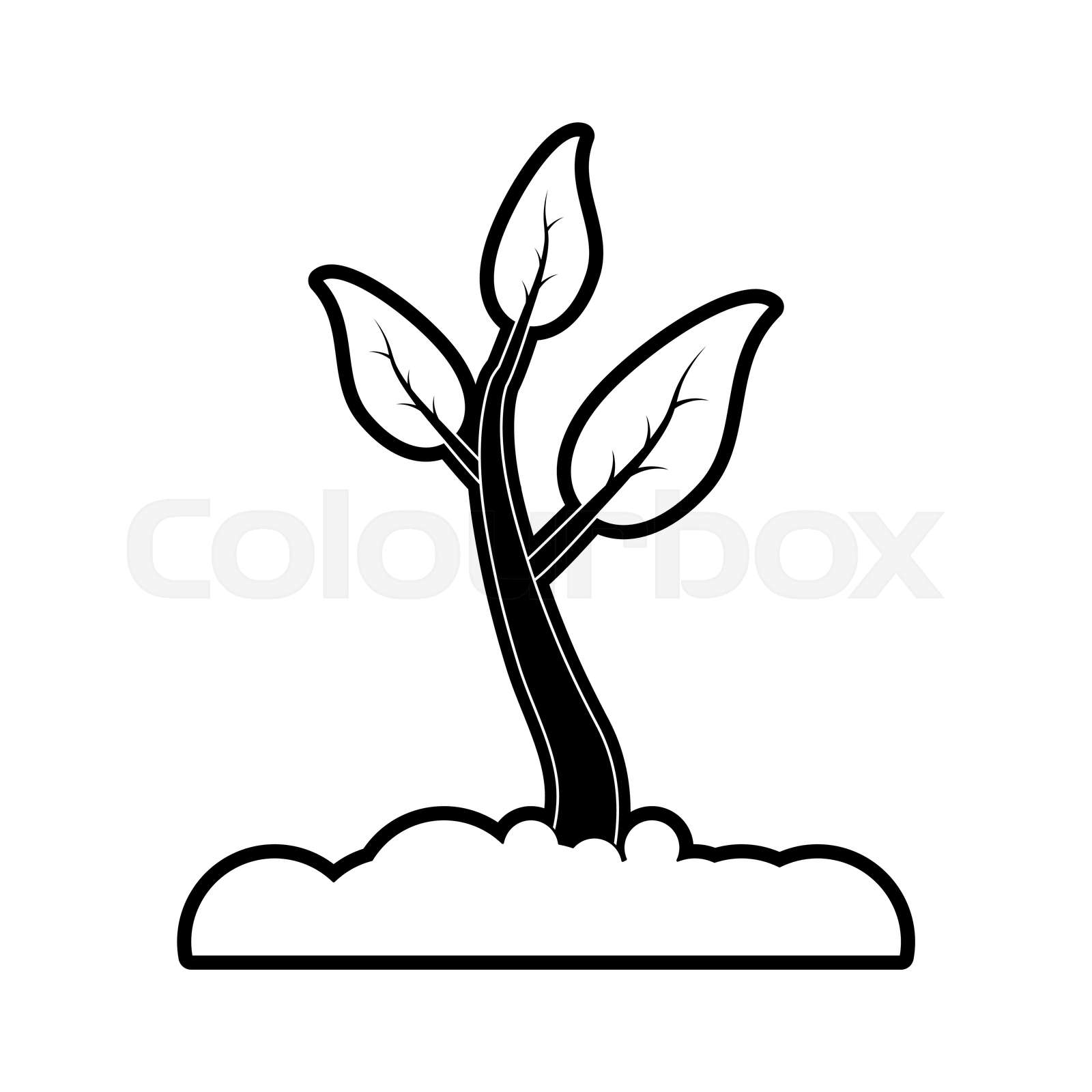 Growing Plants Clipart Black And White