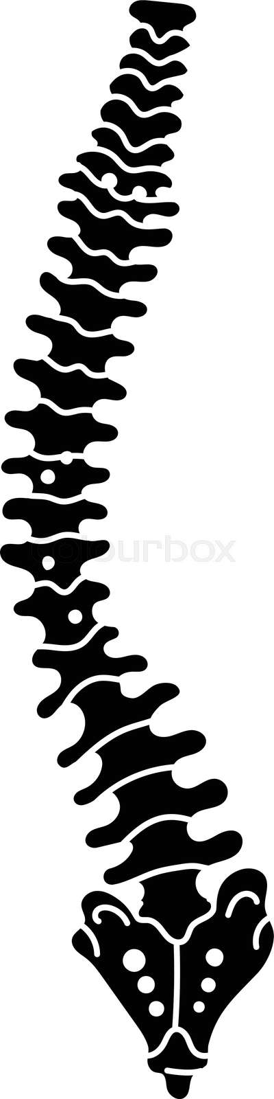 Spine icon, simple style | Stock vector | Colourbox