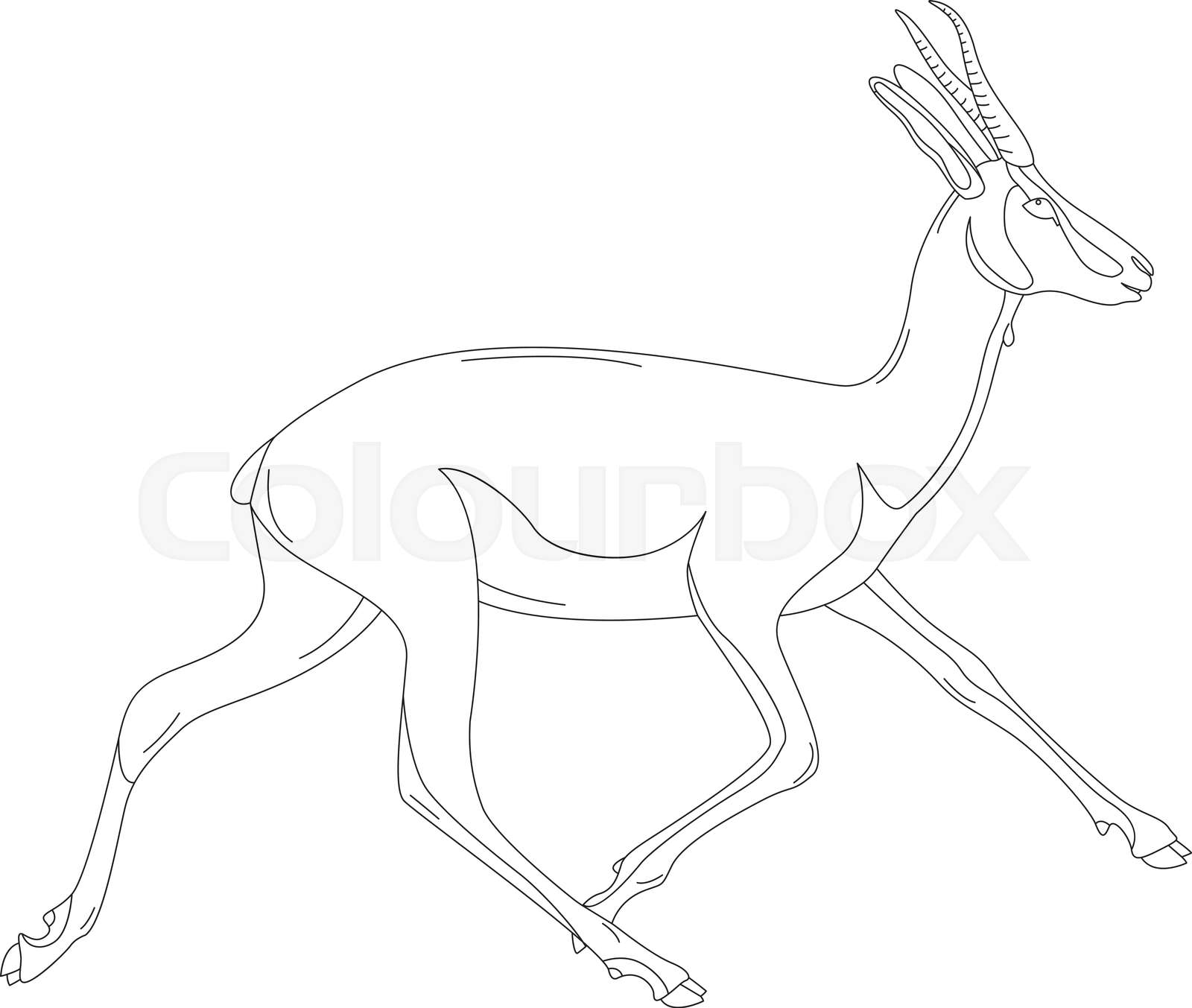 running antelope,vector | Stock vector | Colourbox