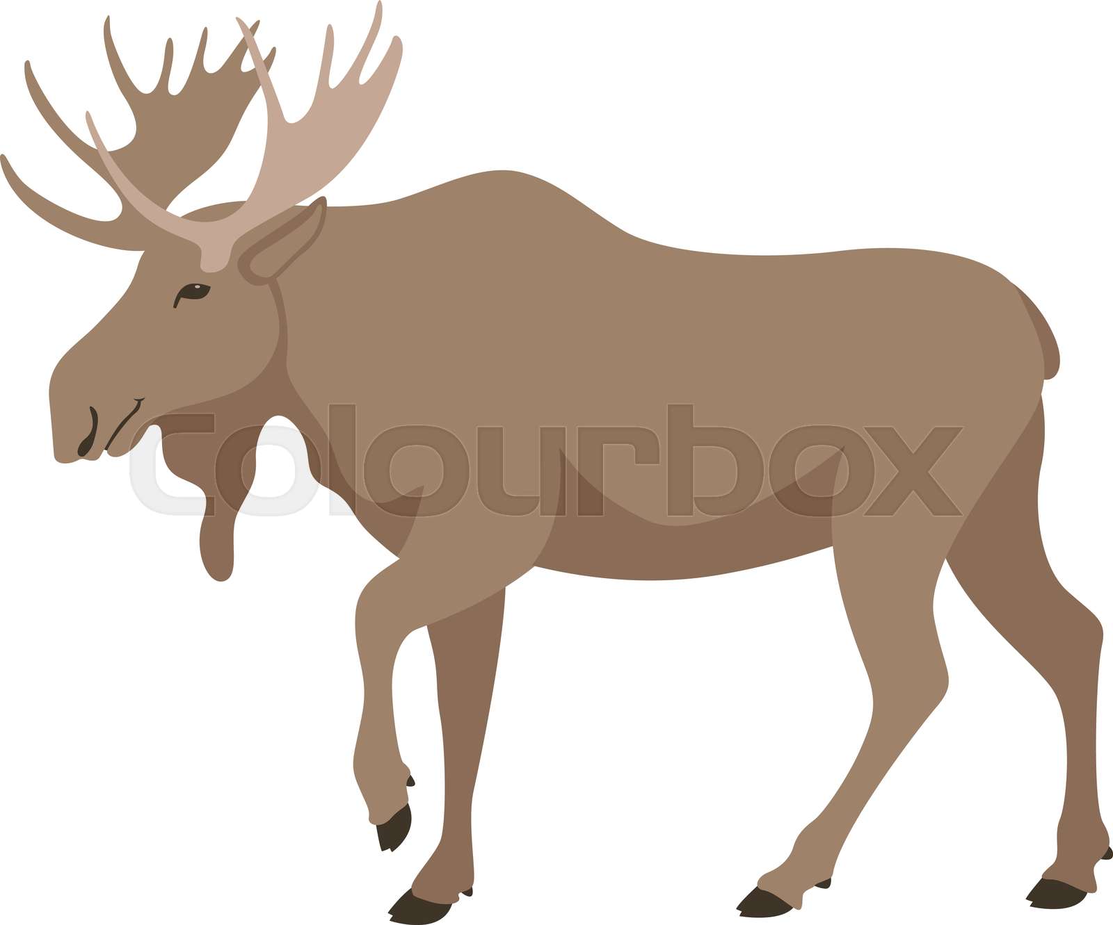 moose, vector | Stock vector | Colourbox